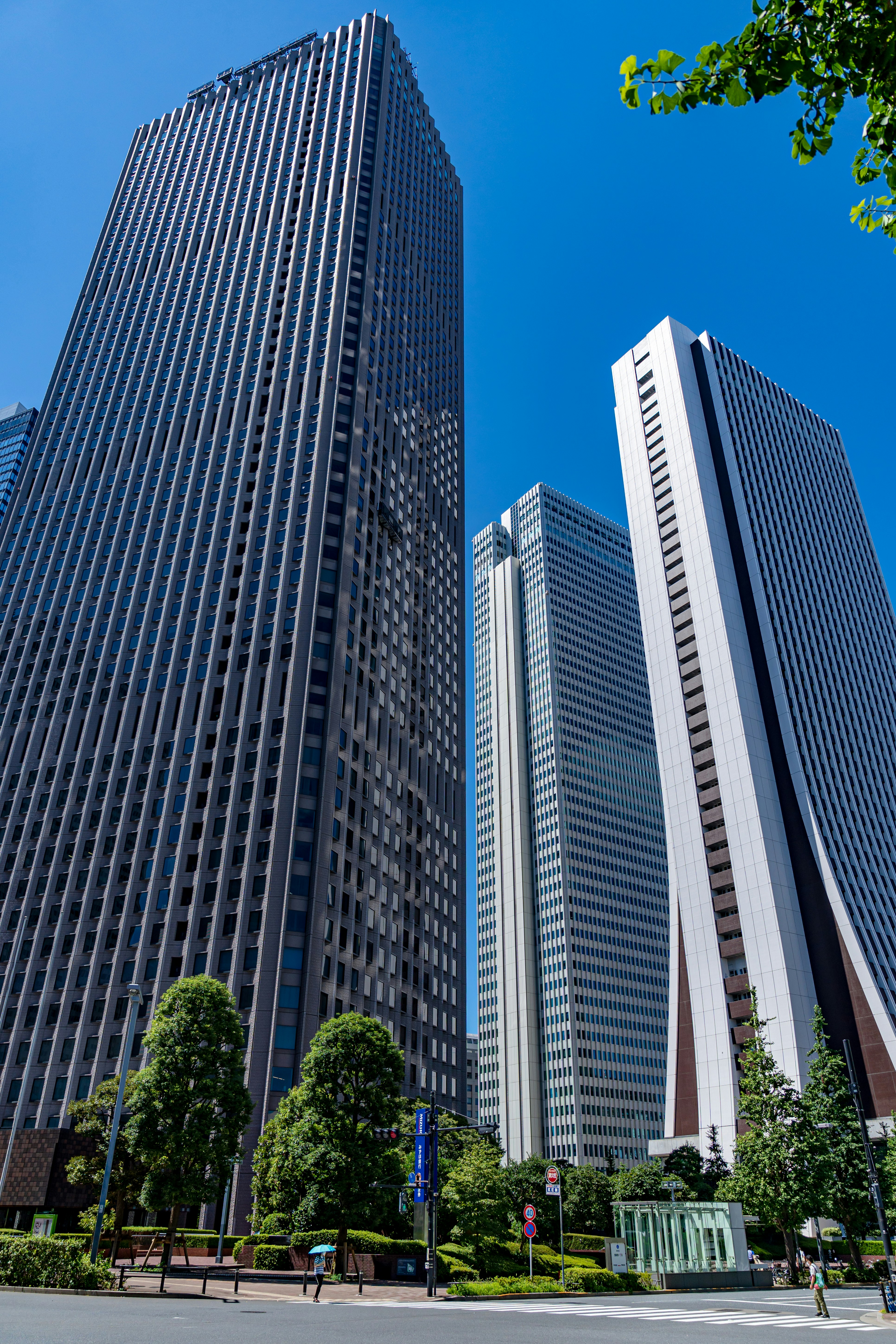 Vertical Convergence: Angled Giants Under a Cerulean Sky