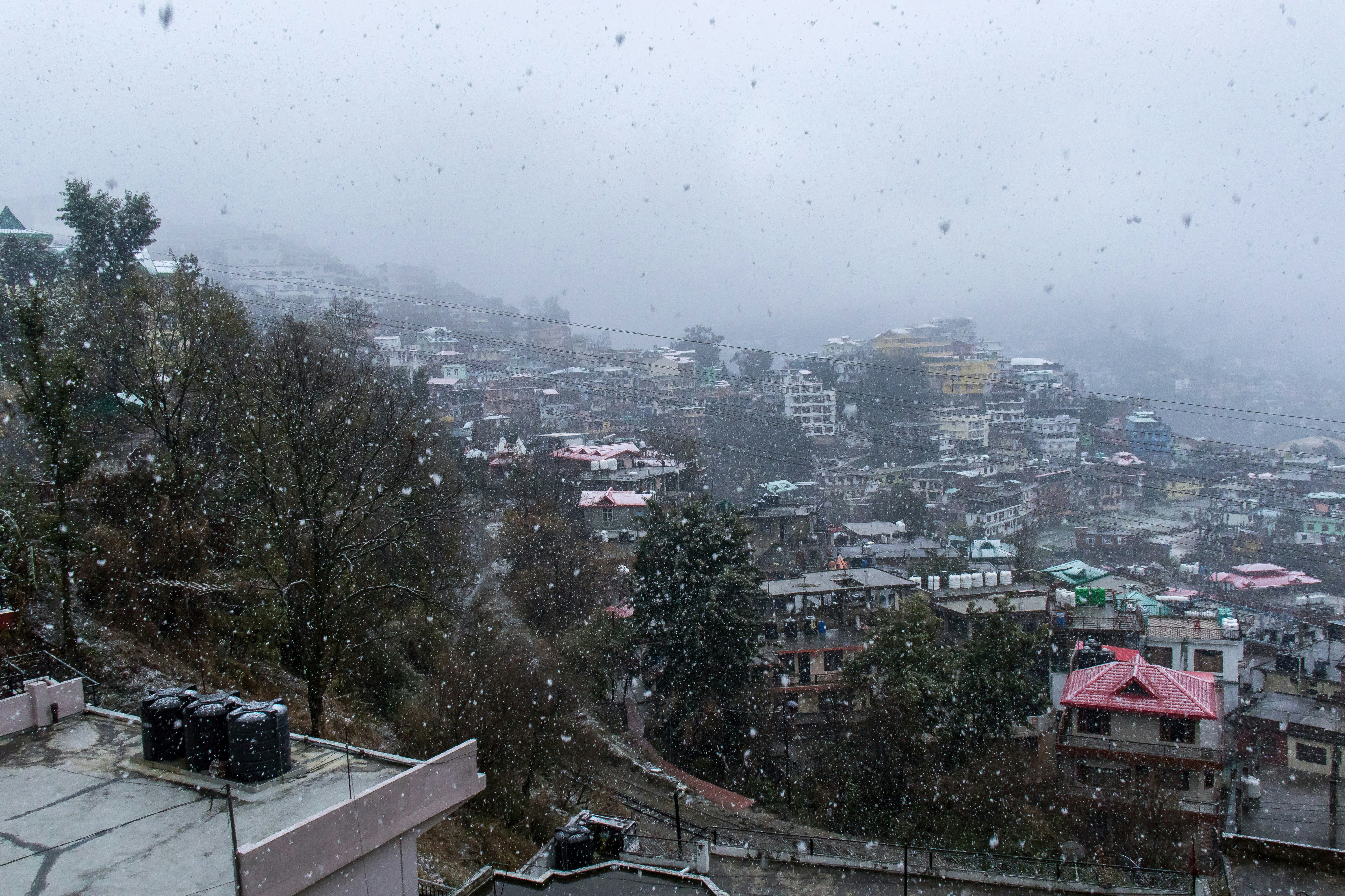 Green trees near city buildings during daytime photo – Free Solan Image ...
