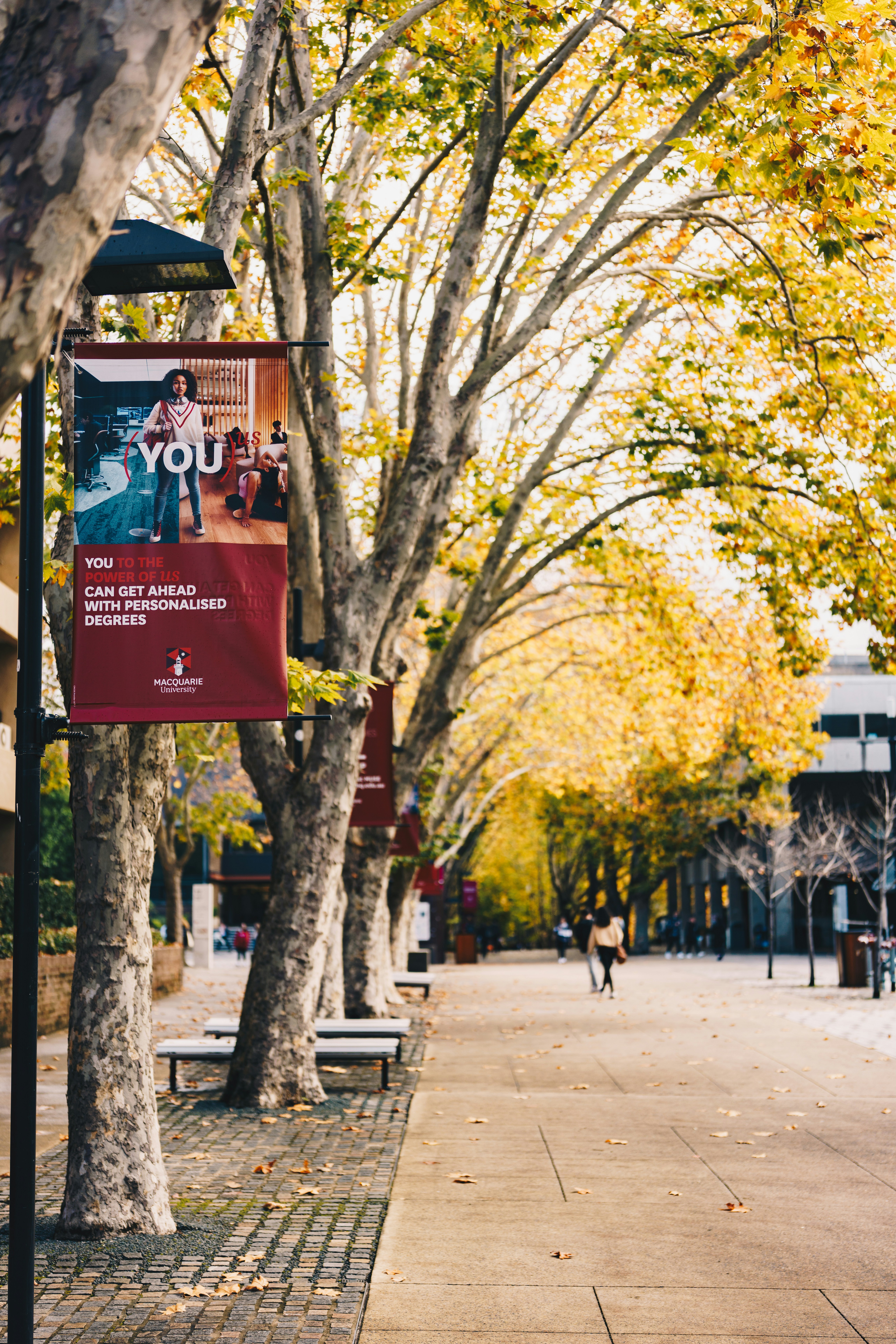 A sign on a tree lined sidewalk in a city photo – Free Human Image on ...