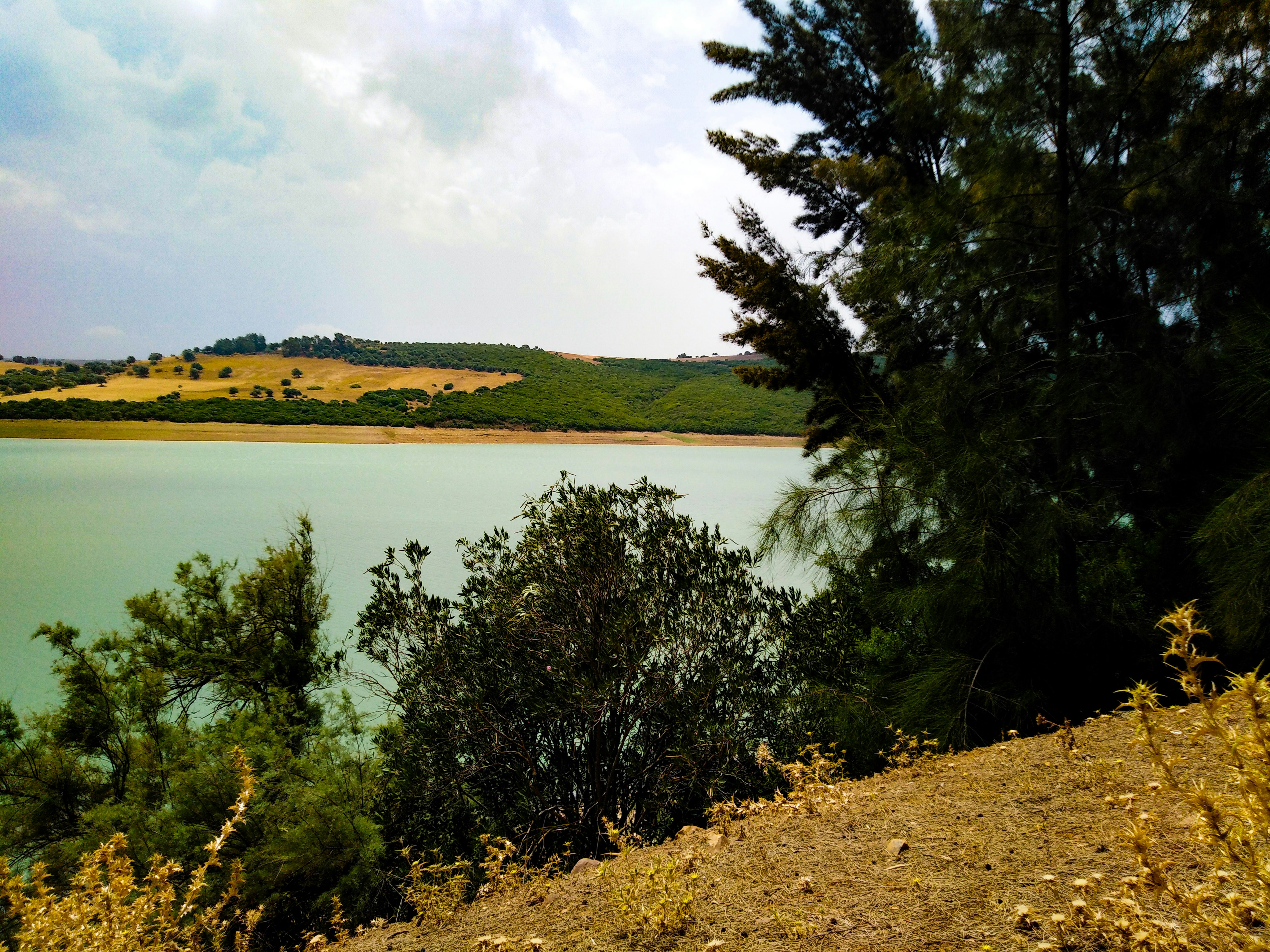 El kala Algeria | 1 best free algeria, kala, animal and outdoor photos ...