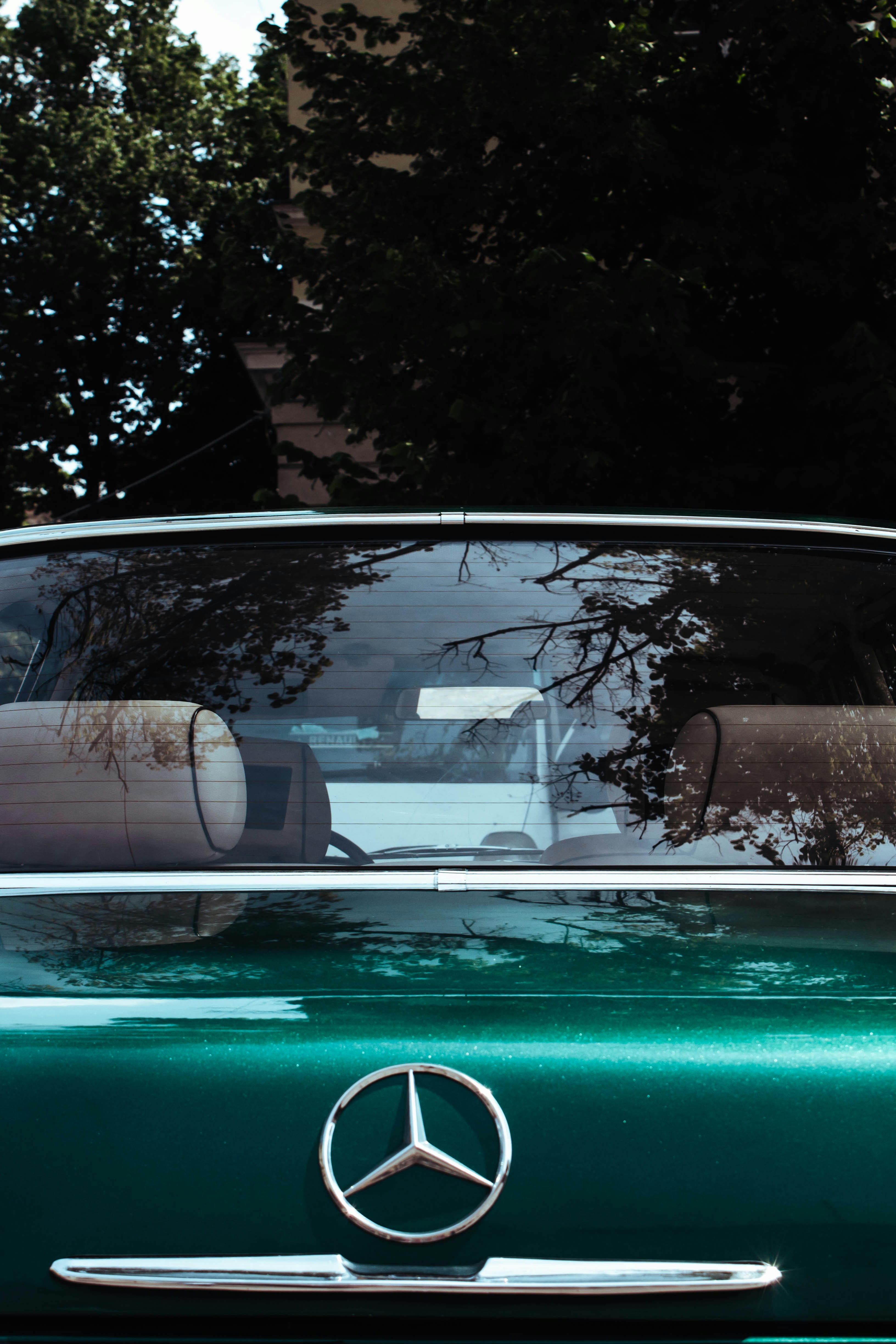 Close-up view of a classic Mercedes car showcasing its iconic logo and sleek design against a backdrop of greenery.