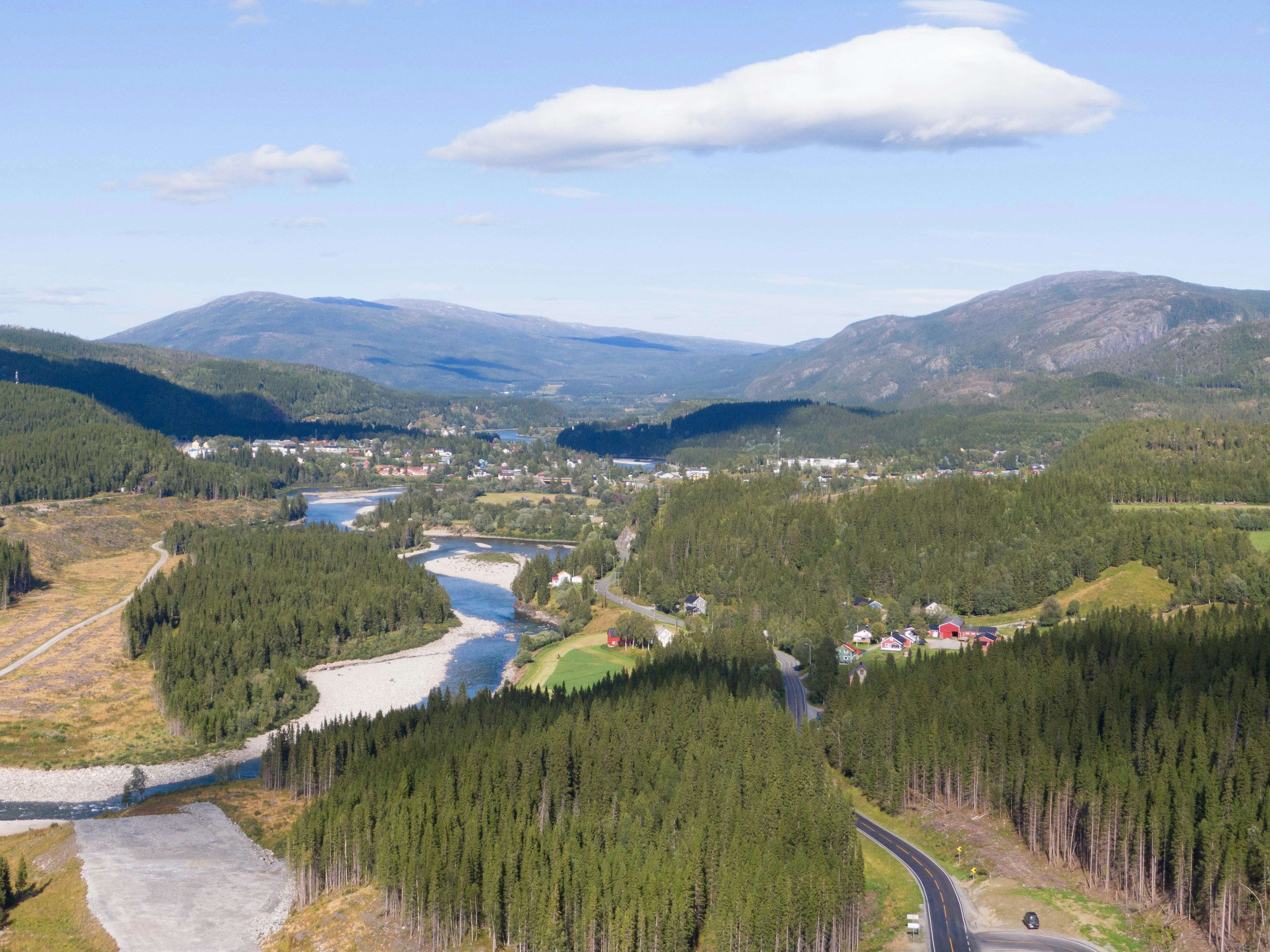 Valley Loom: A River Winding Through Pines Toward Distant Peaks