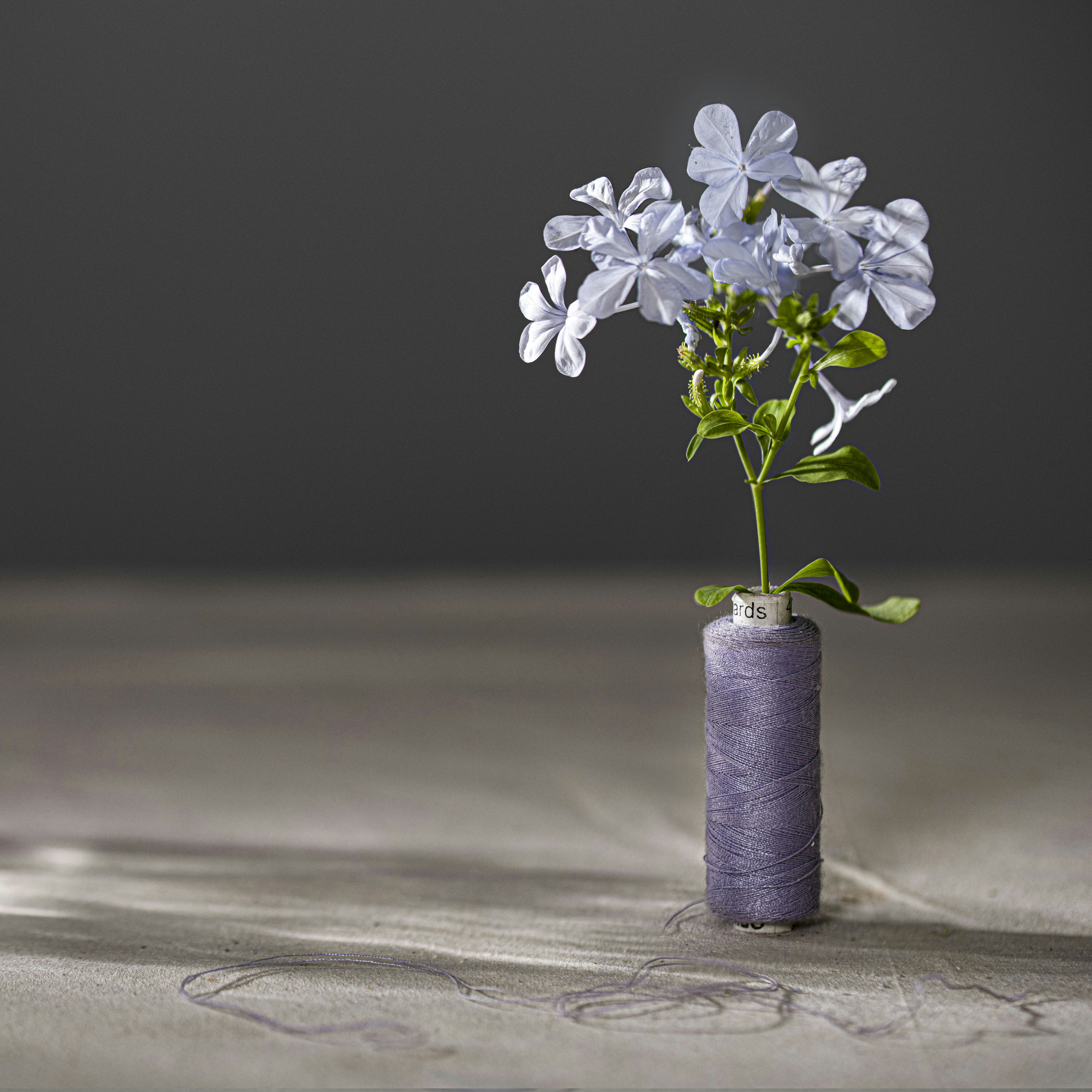 Lilac Bloom on a Thread-Sewn Pedestal