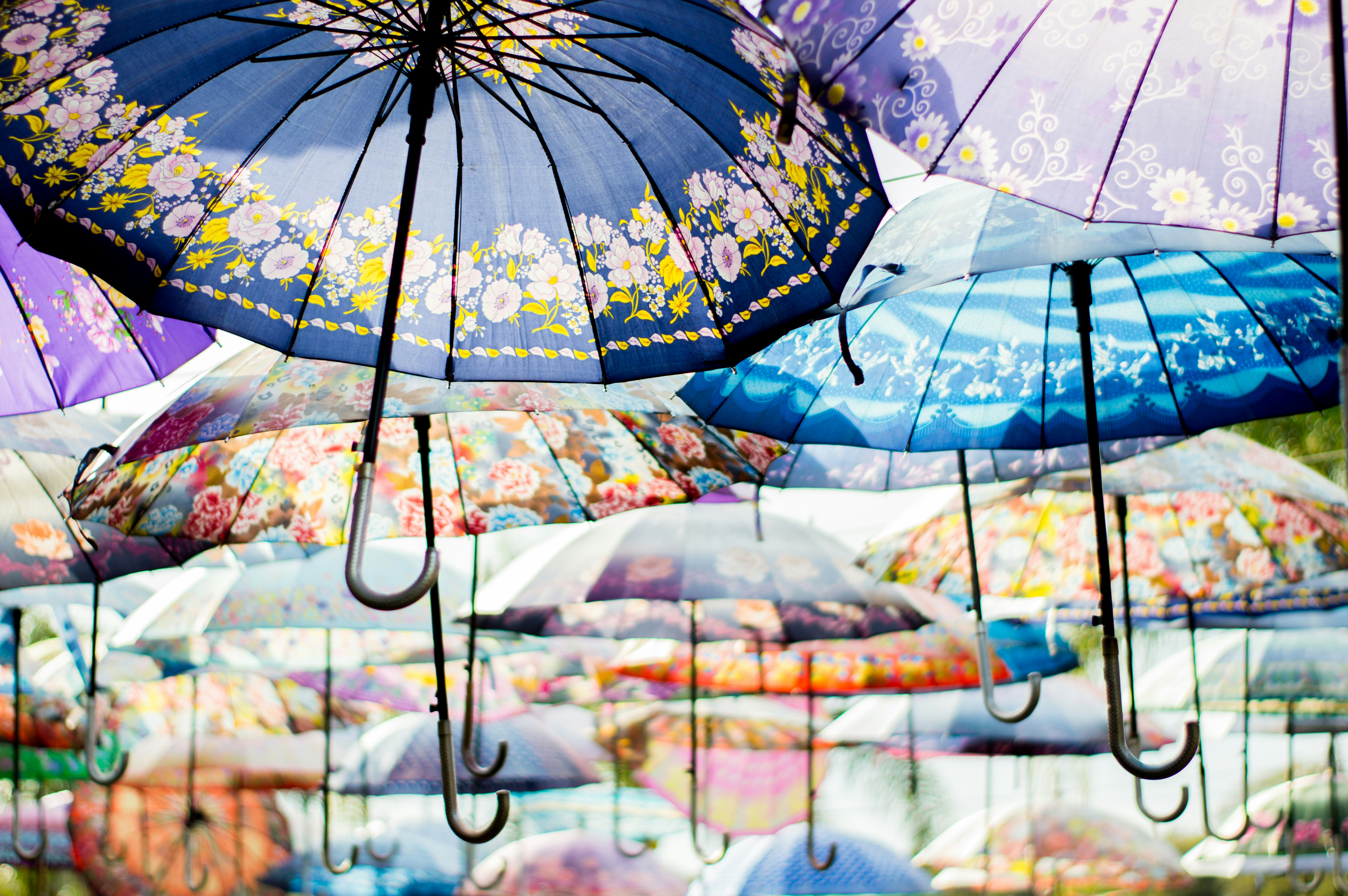 Colorful umbrellas with floral patterns hanging overhead, creating a lively and artistic display.