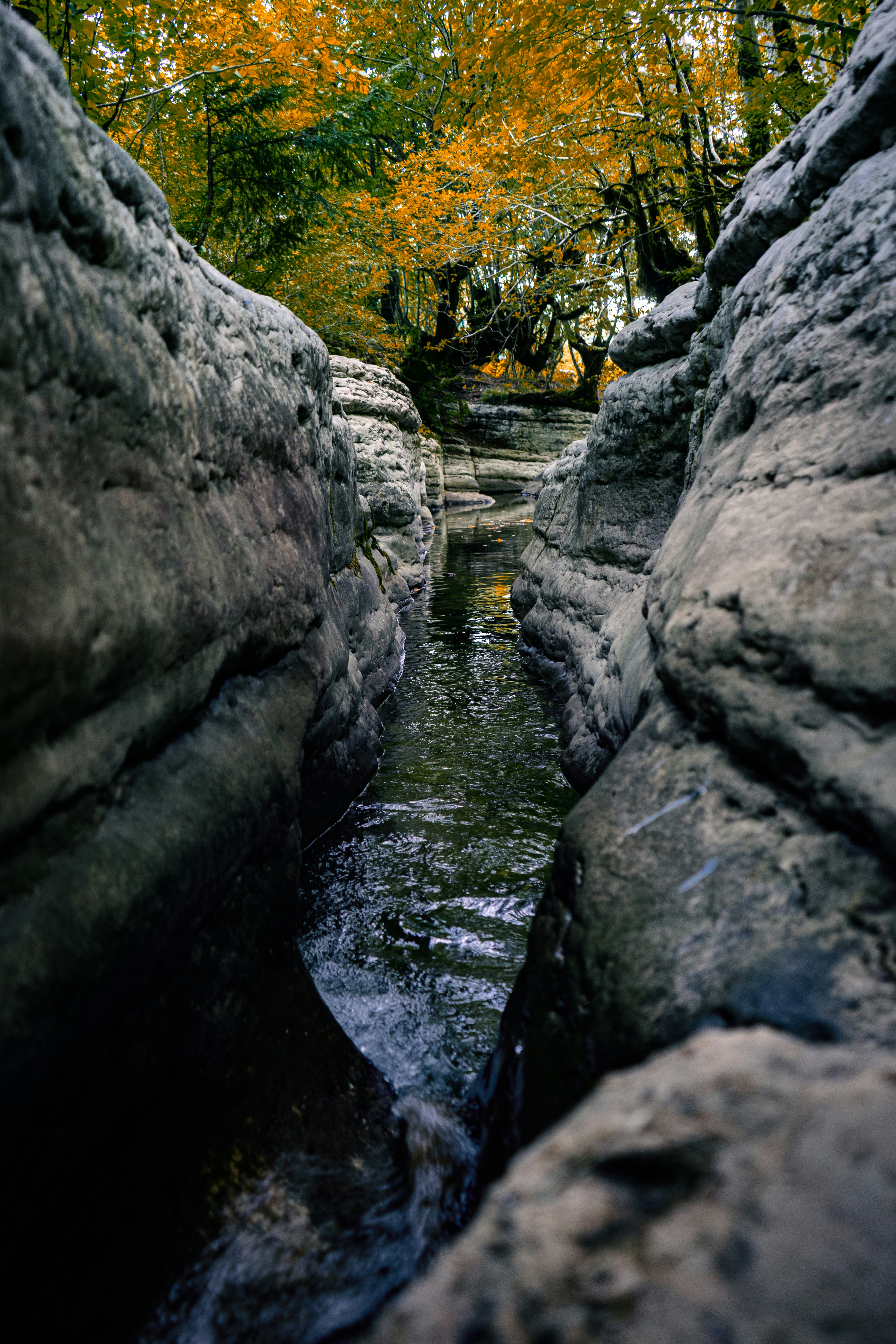 Narrow stream flows between rugged gray rocks with vibrant autumn foliage overhead.