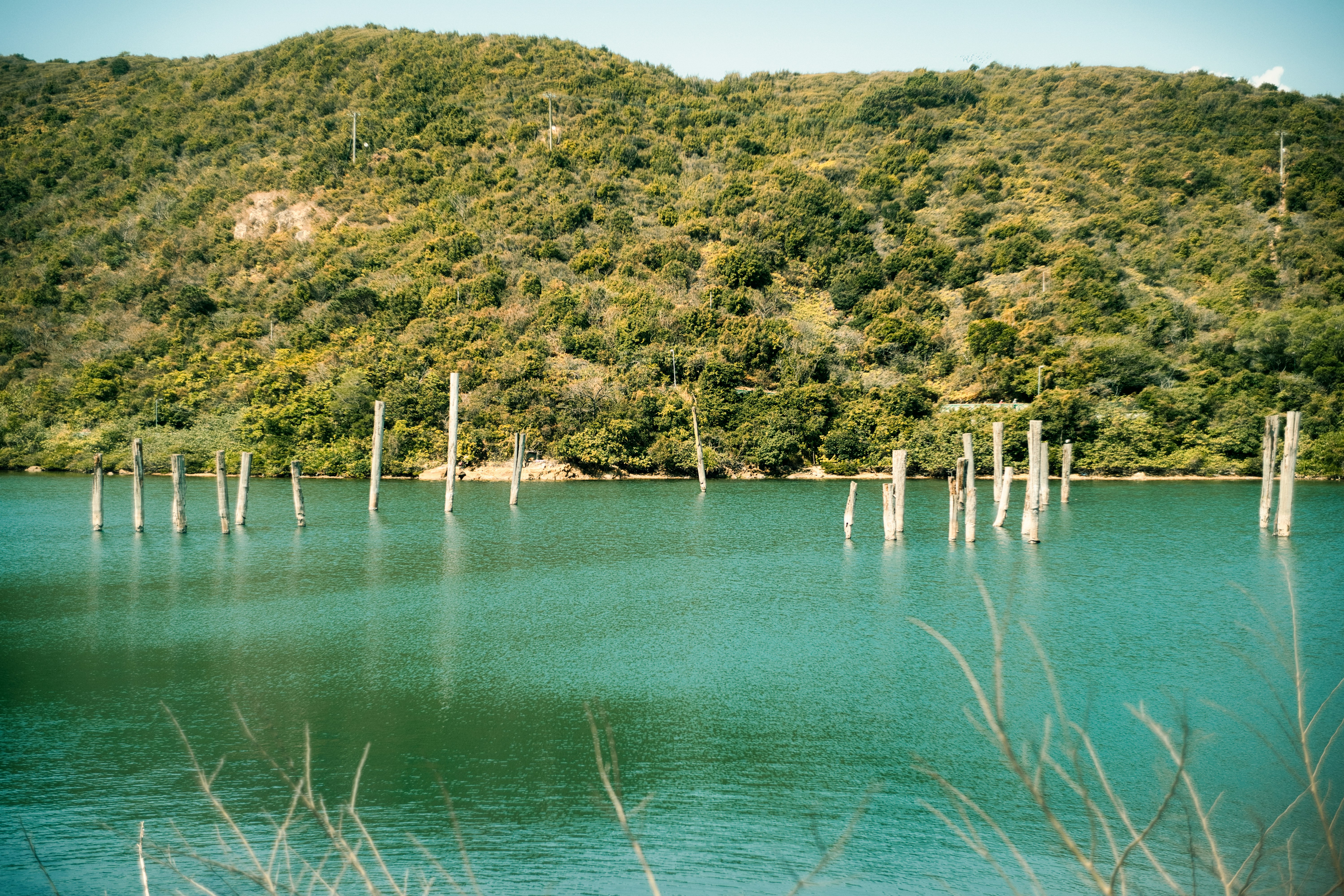 body of water near green trees during daytime