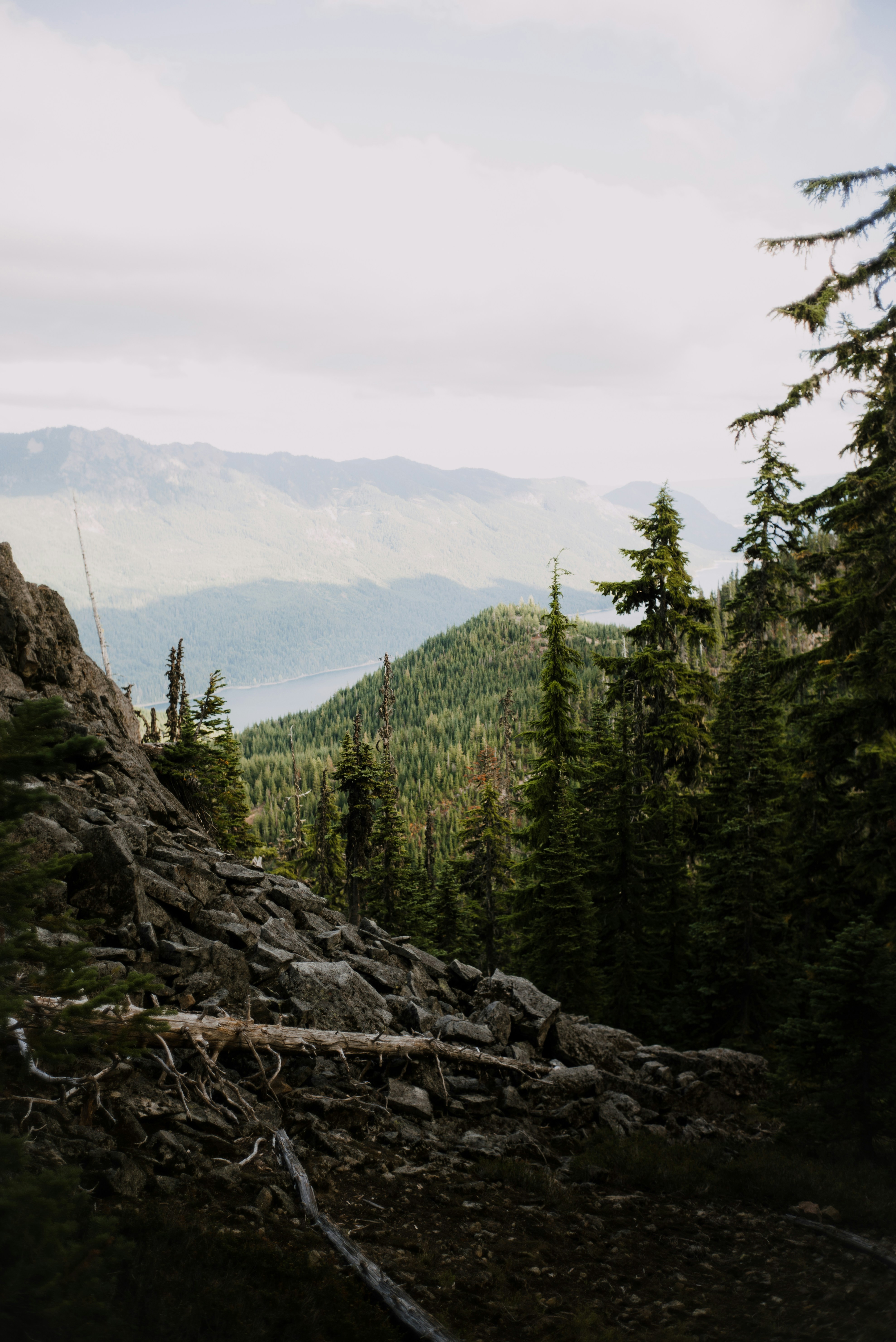 Green pine trees on mountain during daytime photo – Free Adventure ...