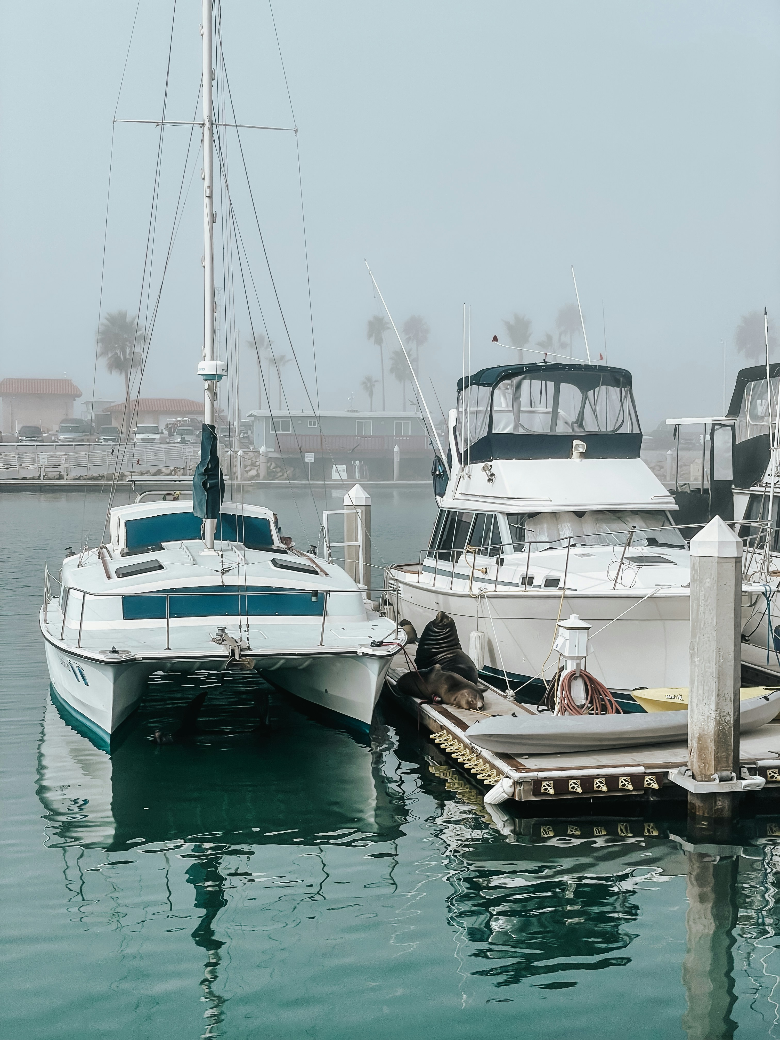 Mist Over the Marina: Twin Yachts at a Quiet Dock
