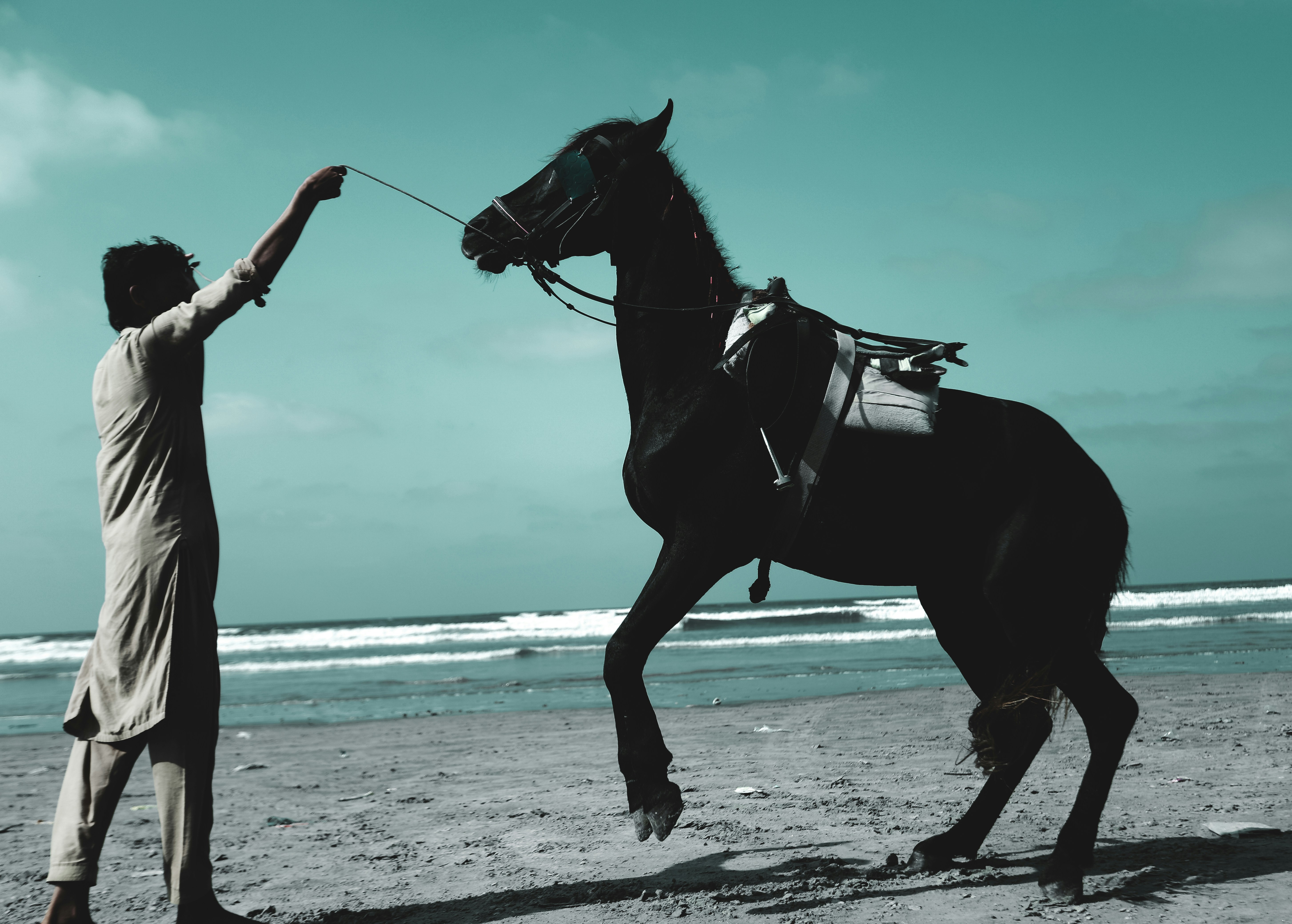 Breathless Moment: Trainer and Horse on a Windlit Beach