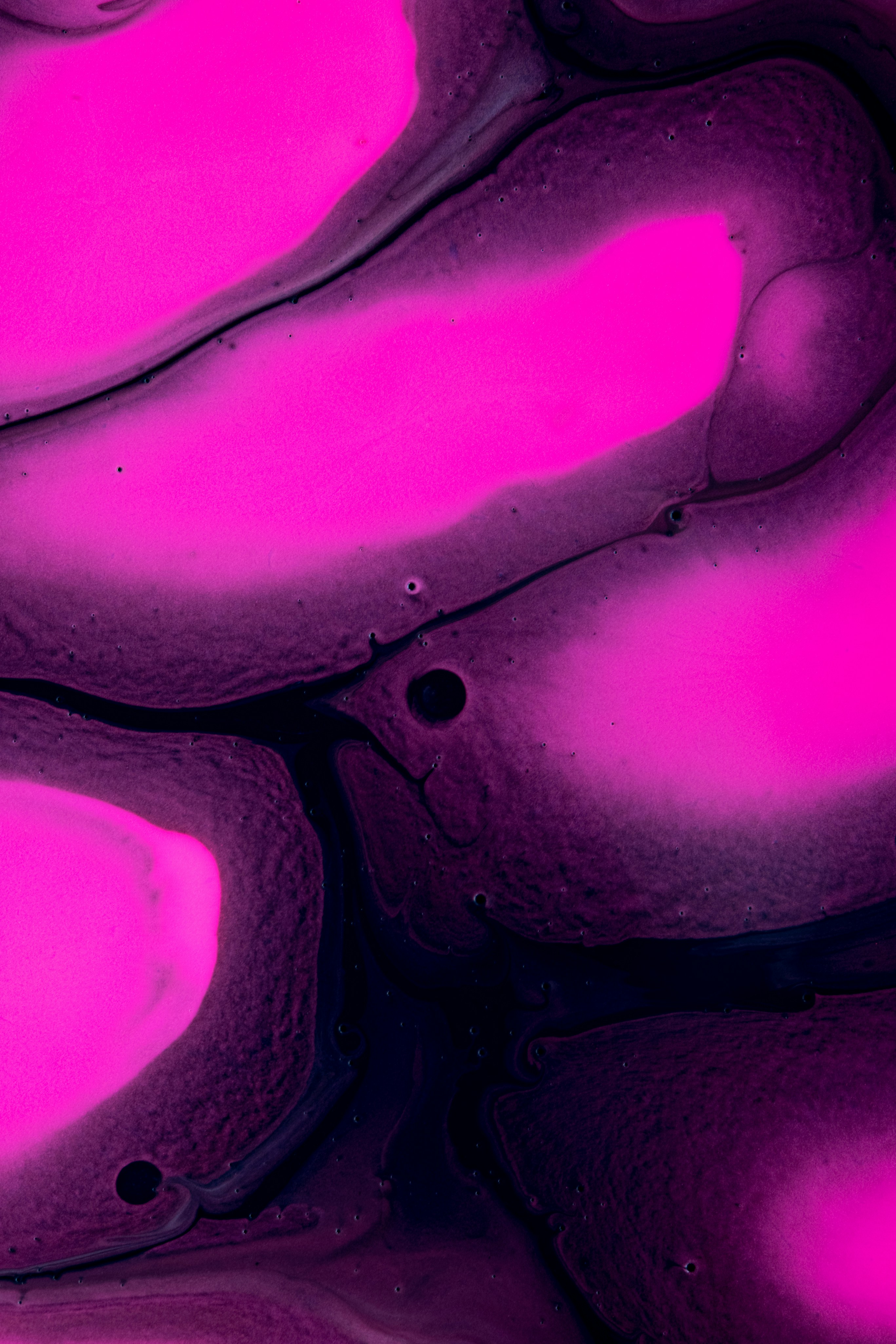 A close up view of a purple substance photo – Free Pattern Image on ...