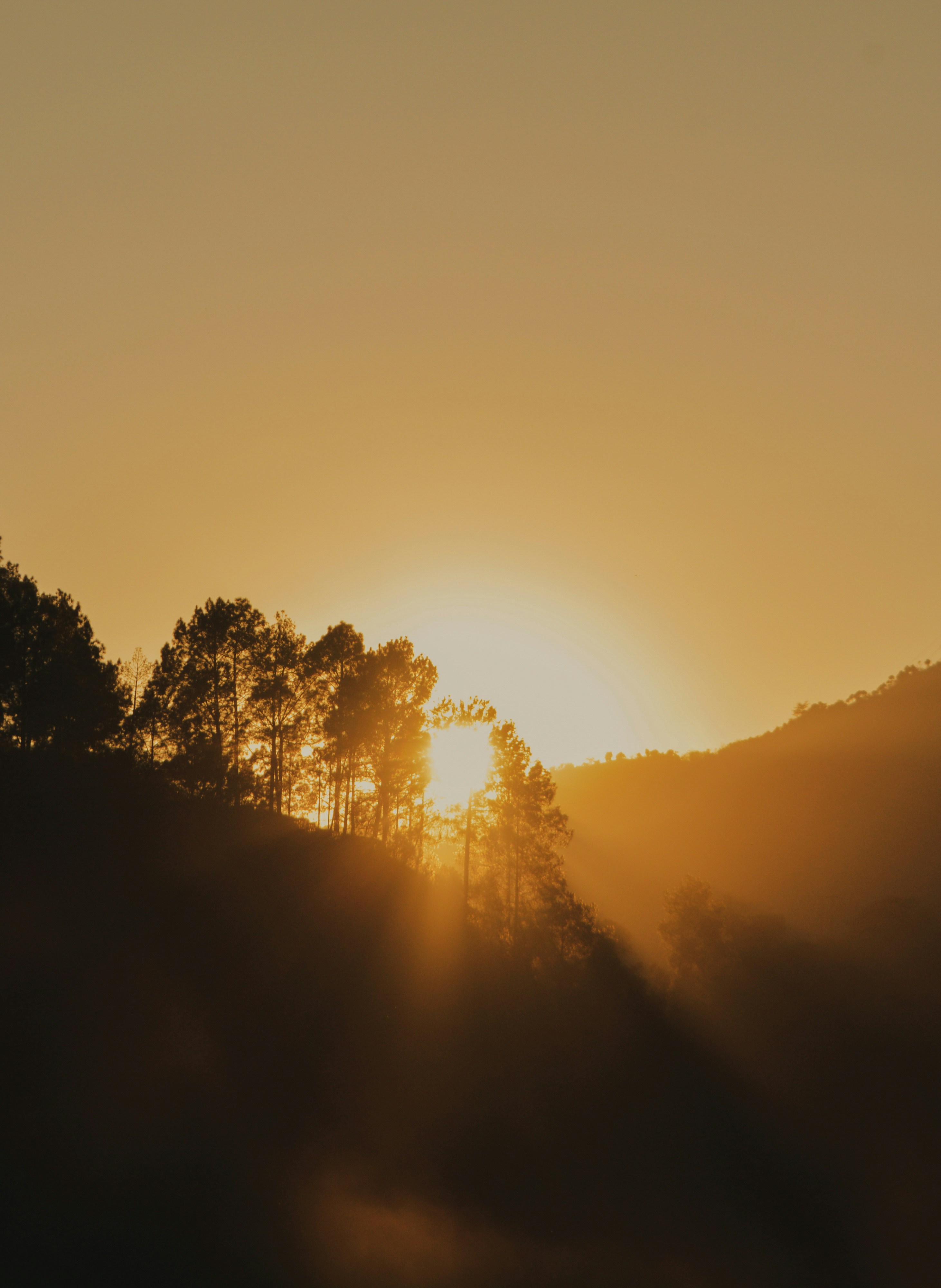 Sun setting over trees and mountains photo – Free Sunset Image on Unsplash