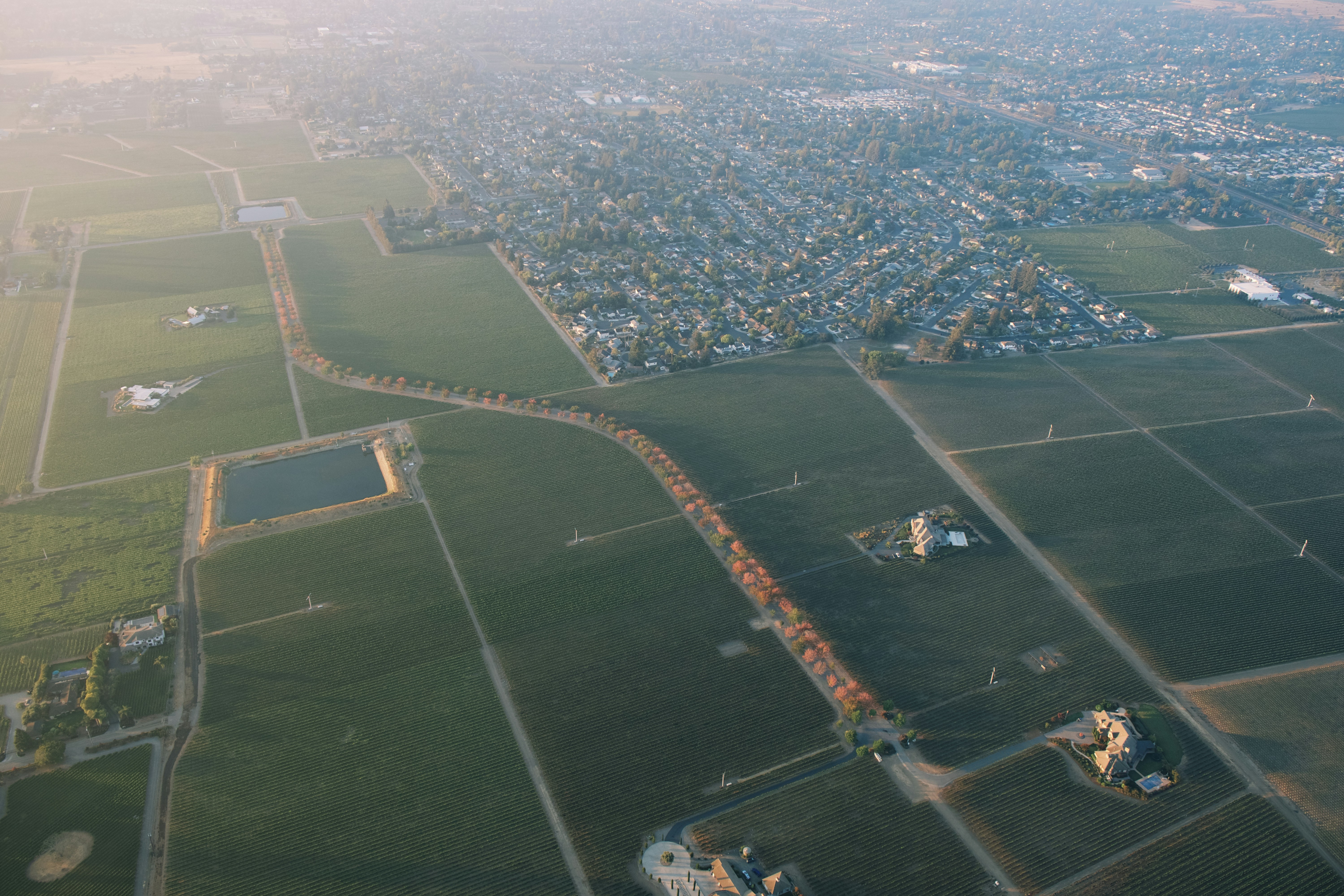 Aerial view of a winding road through lush green fields, bordered by vibrant trees, leading into a serene residential area.