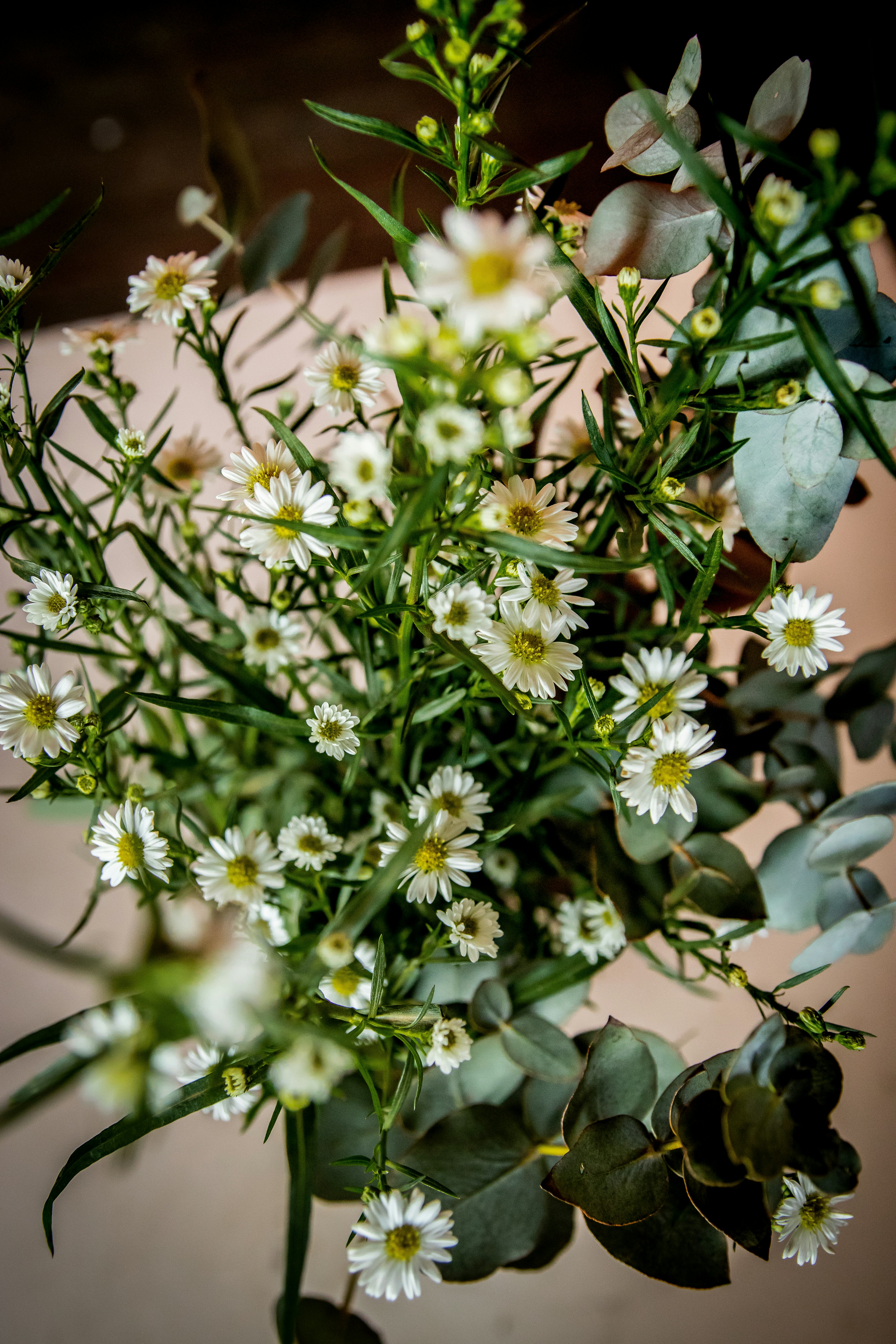 Whispering White Daisies in a Garden Bouquet