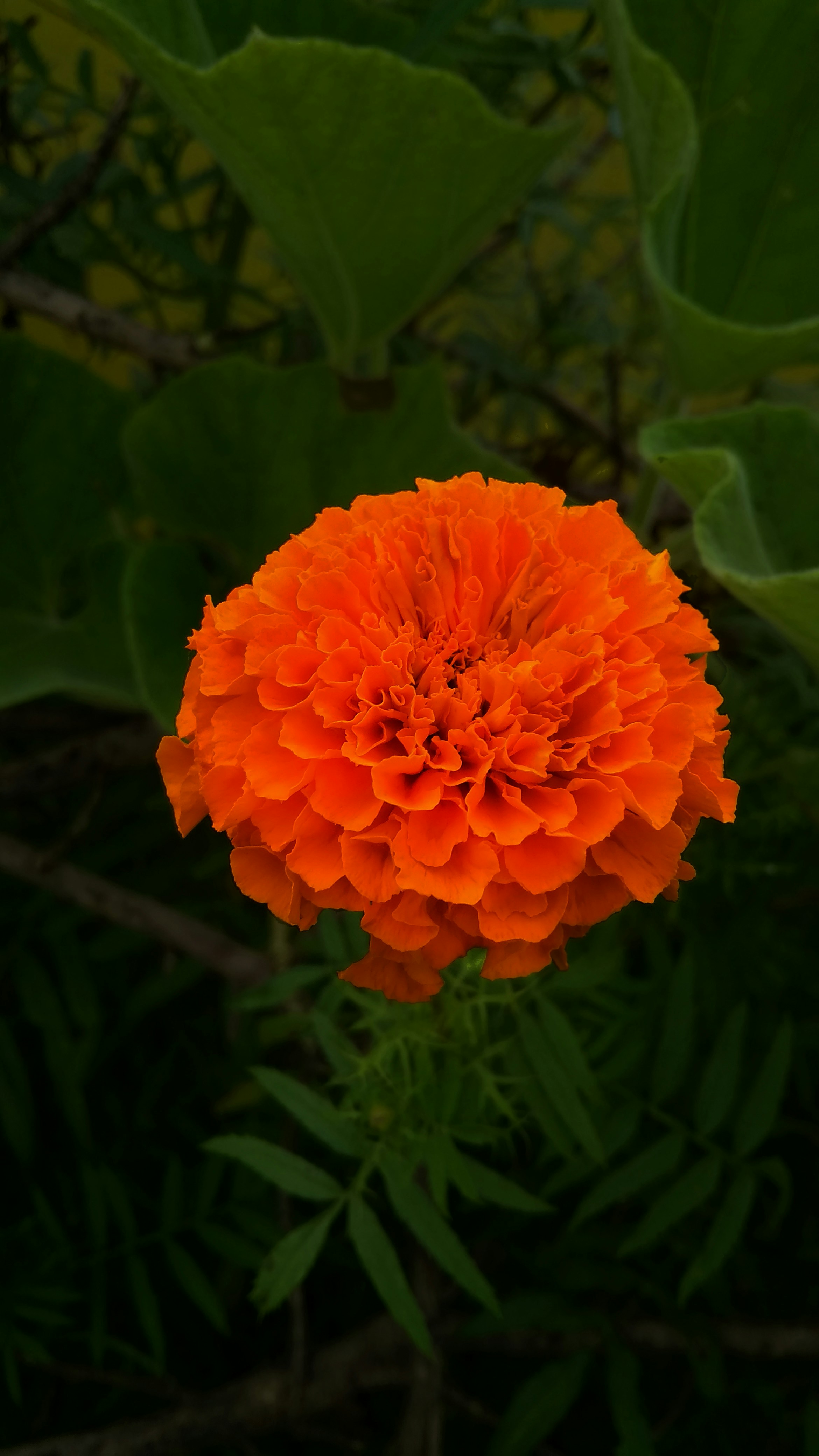 kuldeep verma (@kd_click) | Unsplash Photo Community