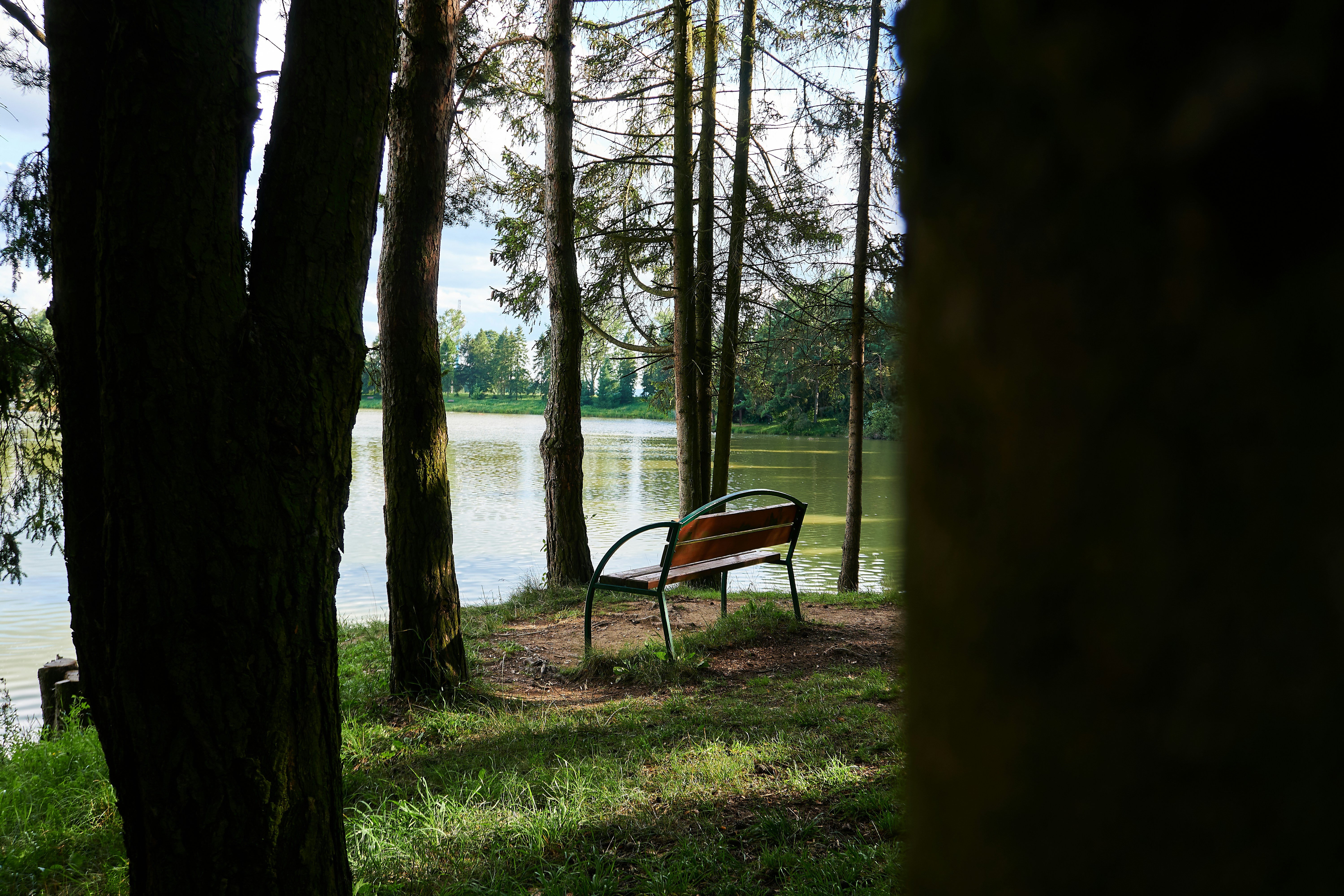 Quiet Contemplation by the Lakeside Bench