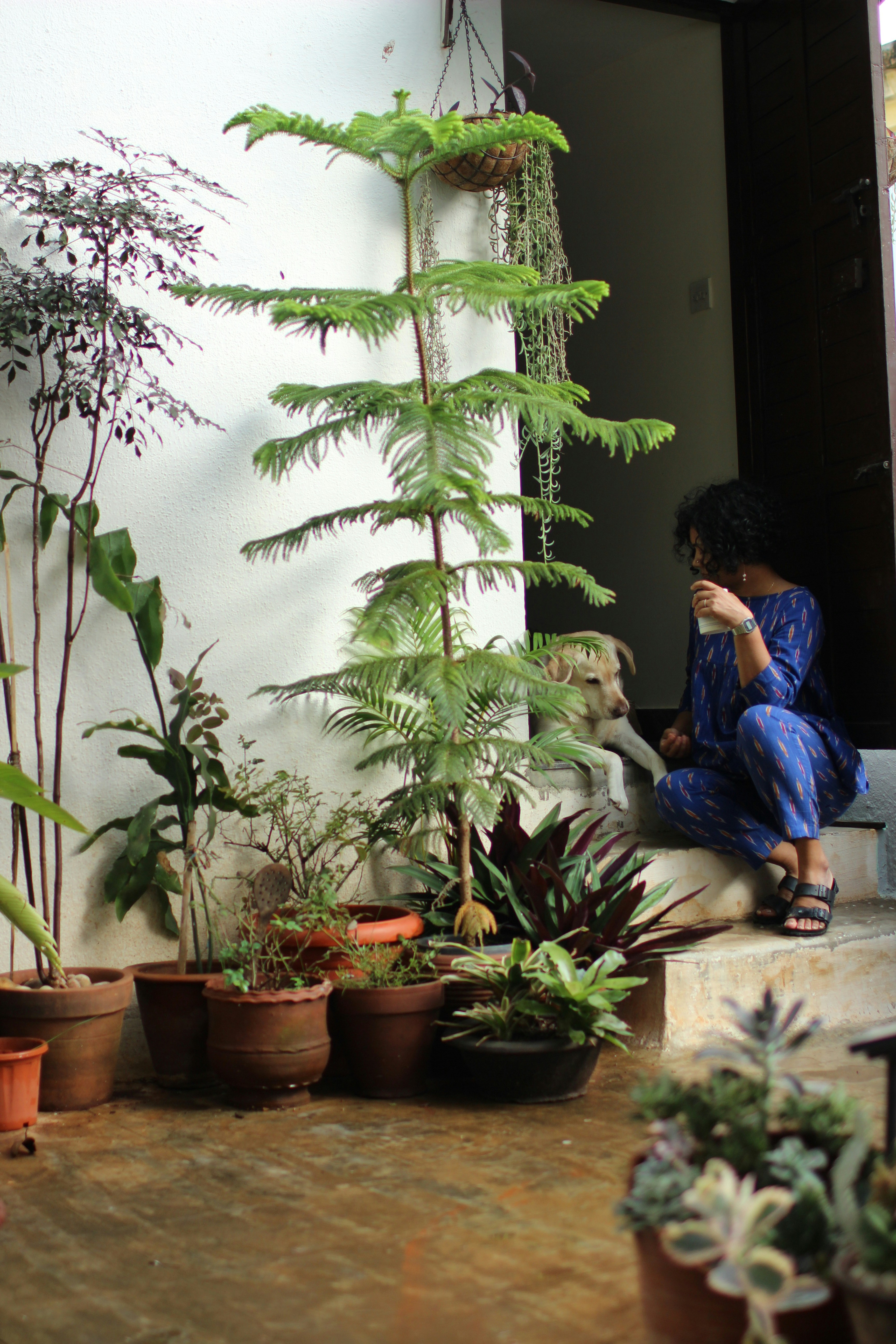 A woman in a blue outfit sits on steps surrounded by lush potted plants, interacting with a dog. The scene captures a peaceful moment in a garden-like setting.