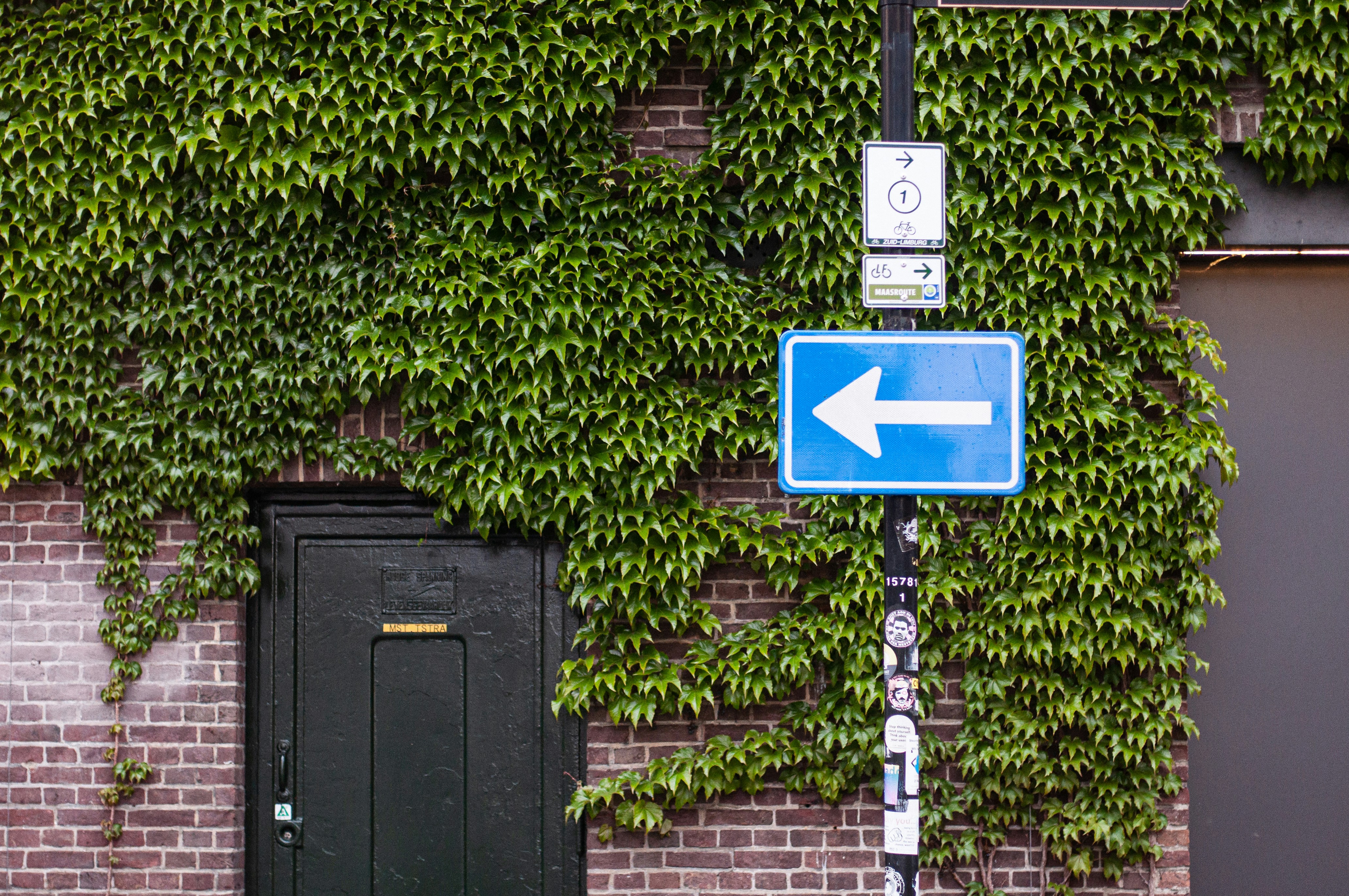 blue and white no smoking sign