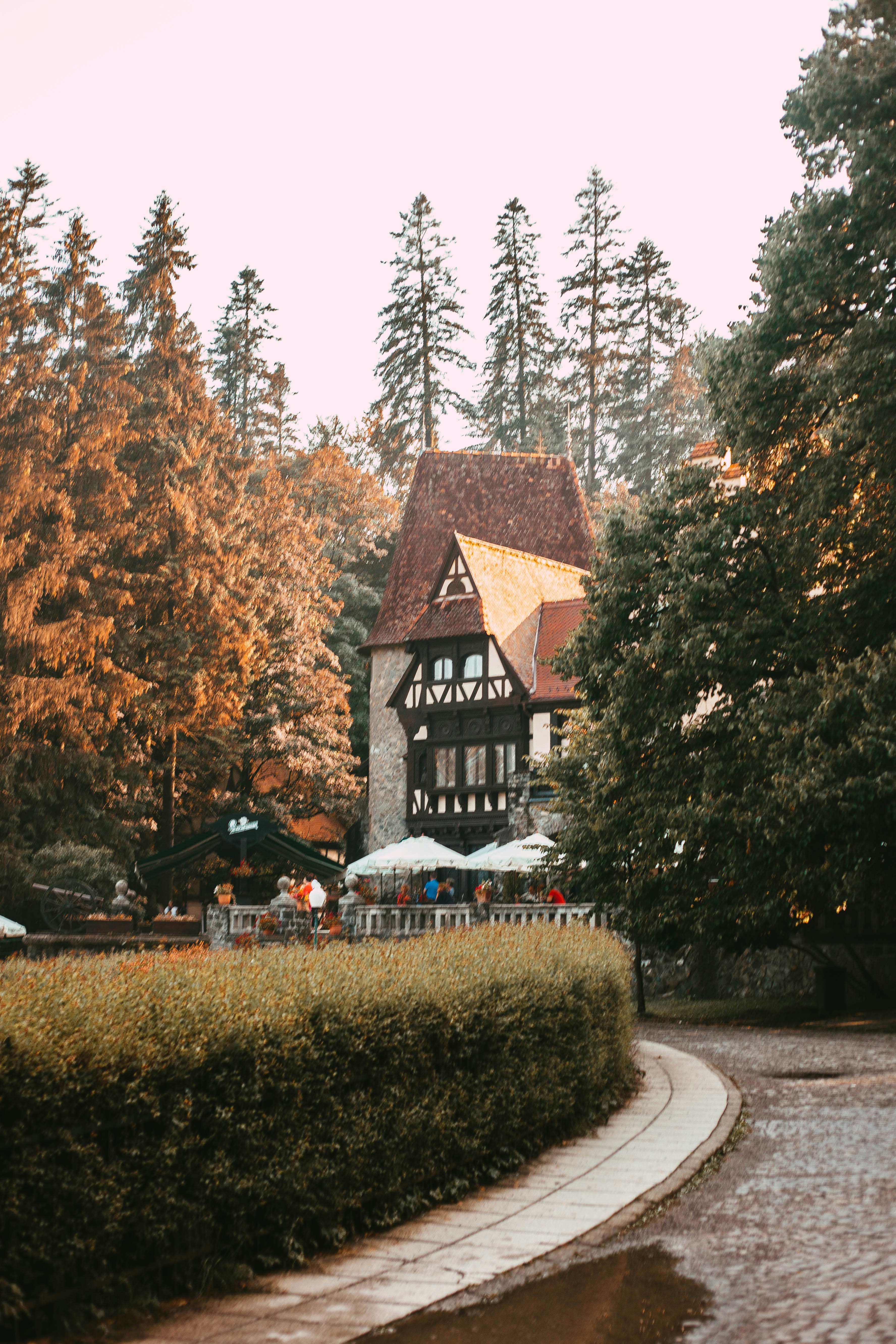 brown and white house surrounded by trees