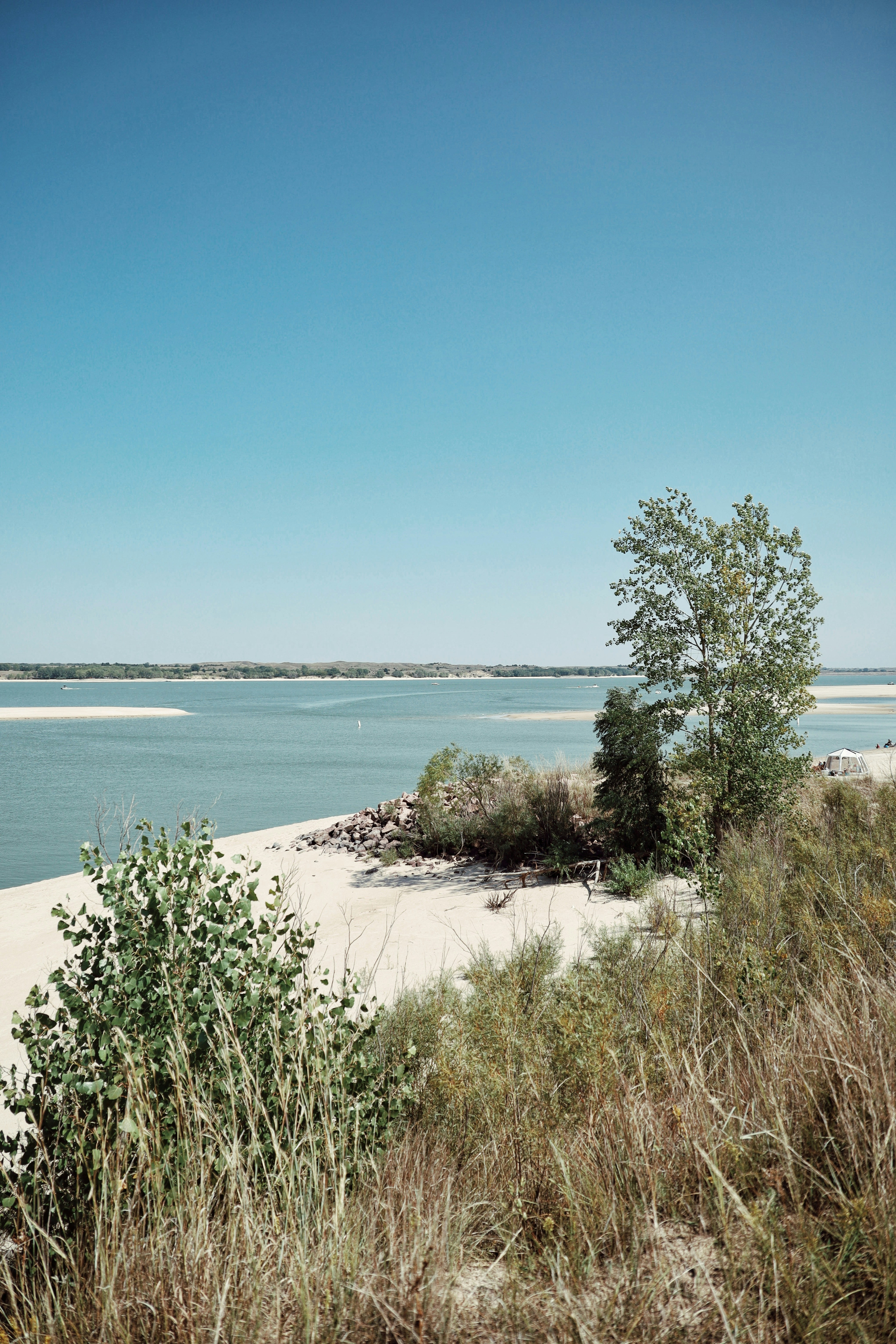 Green trees near body of water during daytime photo – Free Calamus ...