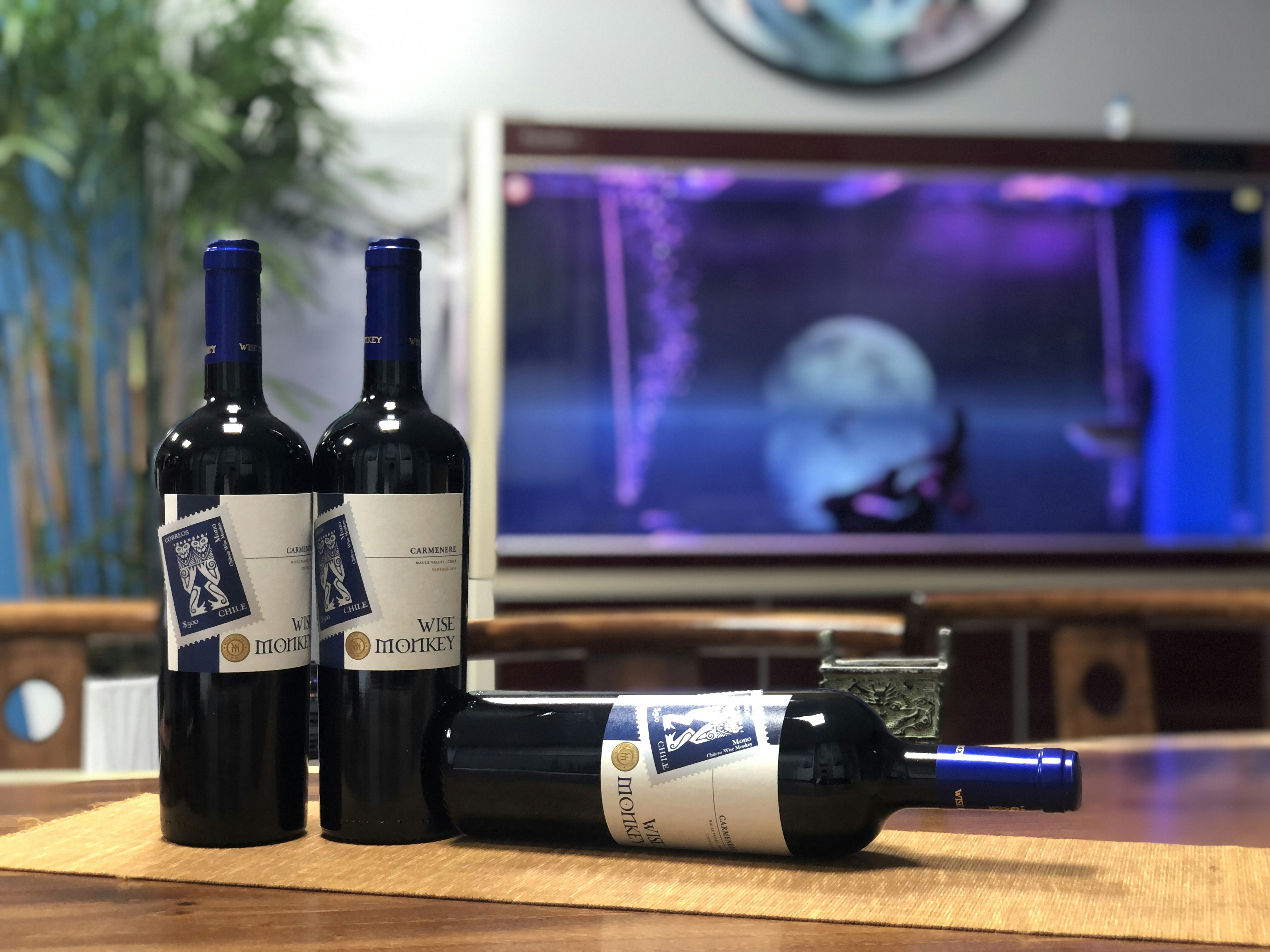 Three bottles of red wine elegantly arranged on a wooden table, with a vibrant aquarium backdrop enhancing the ambiance.