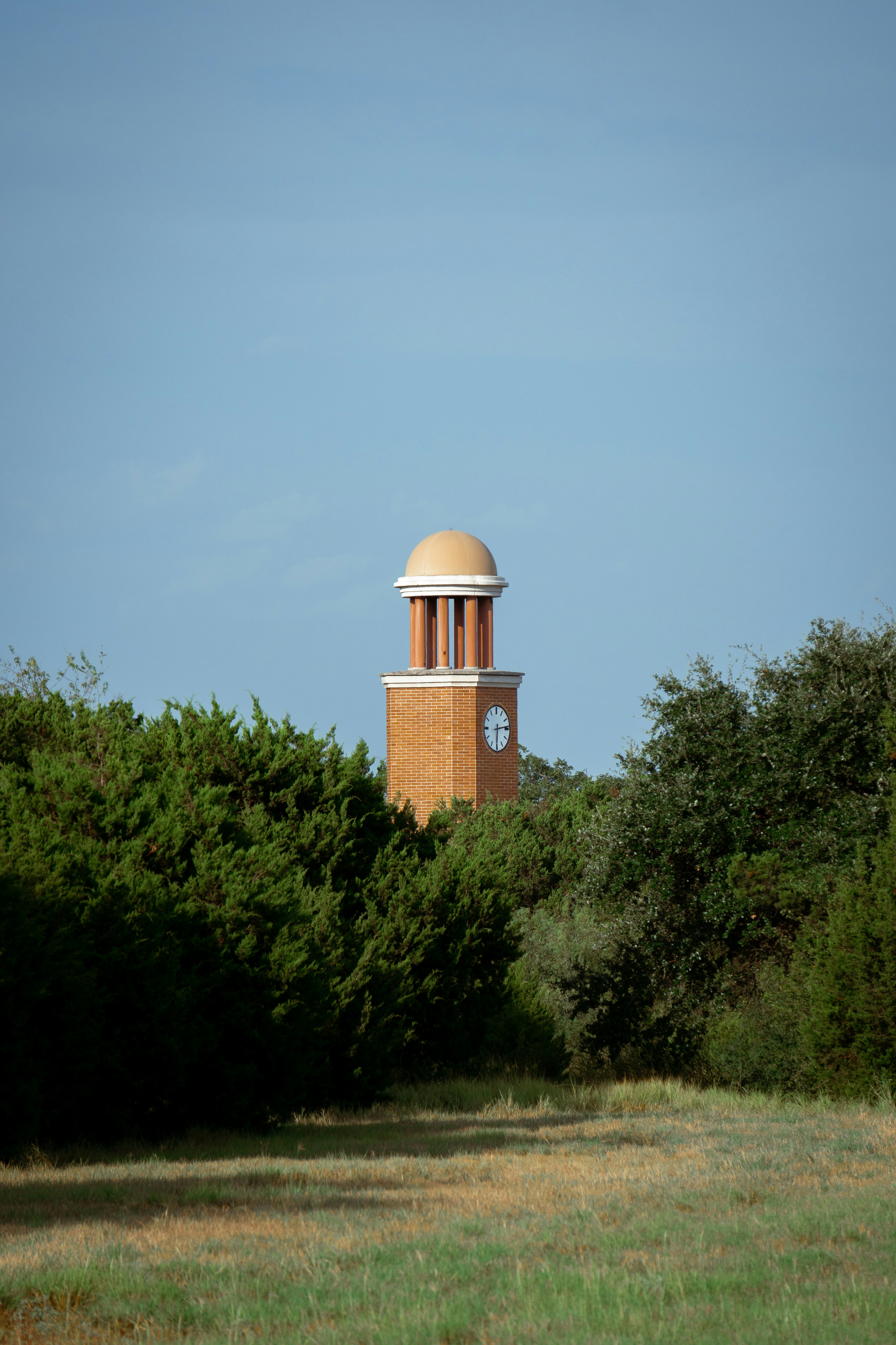 A clock tower rises above the lush greenery, serving as a landmark in the serene landscape. The structure's classic design contrasts with the vibrant foliage surrounding it.