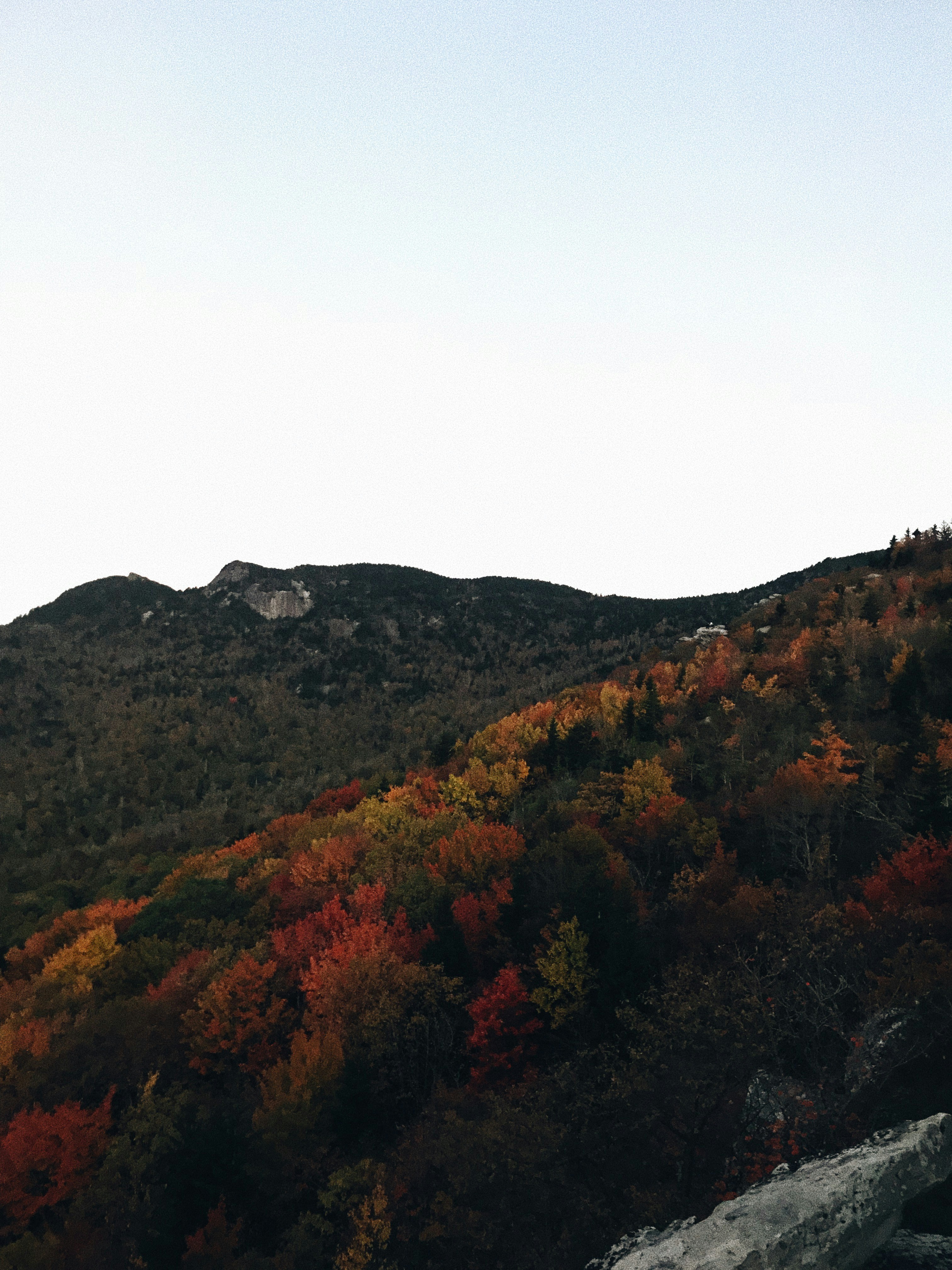 Ember Ridge: Autumn Colors Along a Quiet Mountain Slope