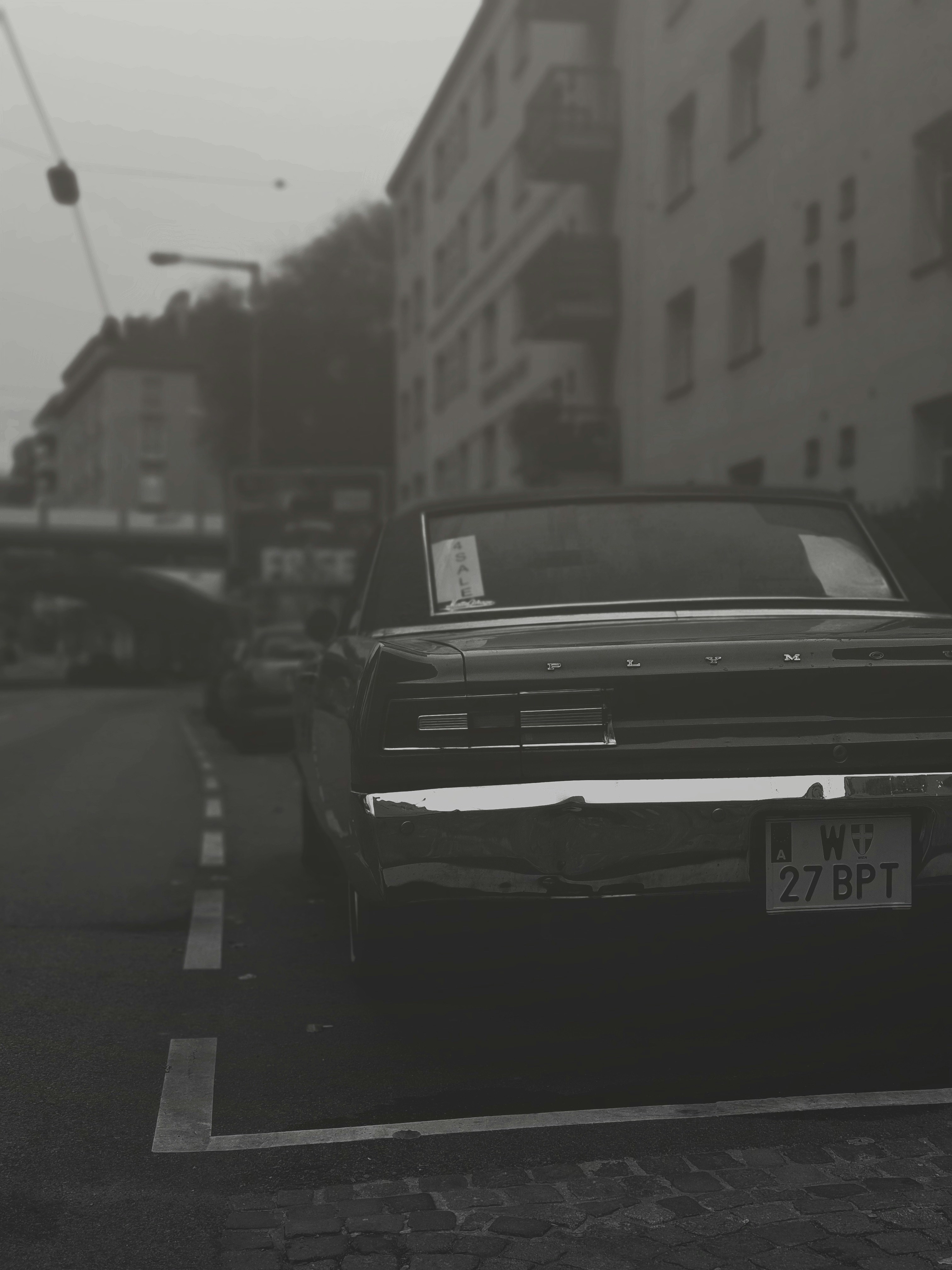 grayscale photo of chevrolet camaro on road