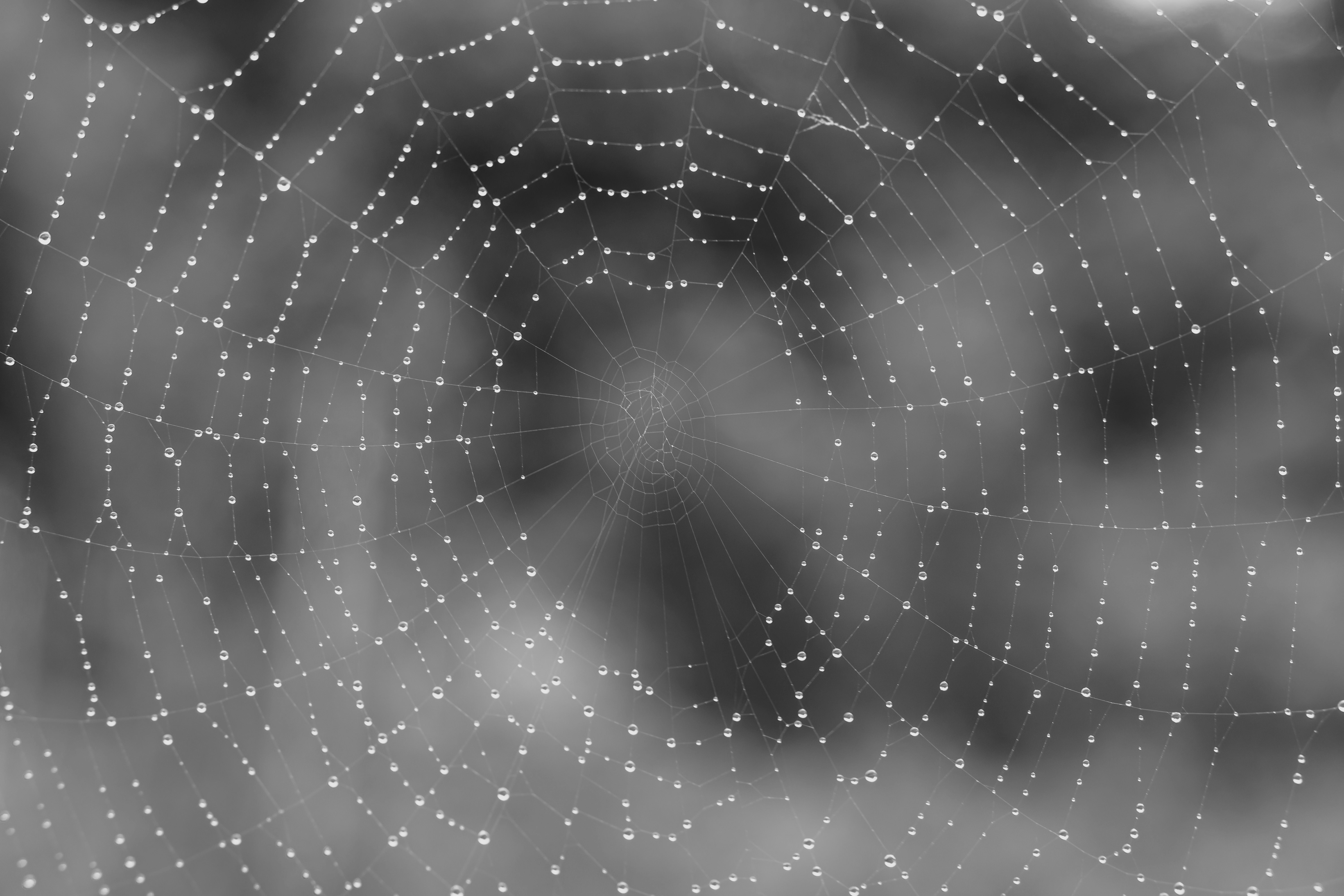 ¿Qué sé yo? - Josant’s Substack
