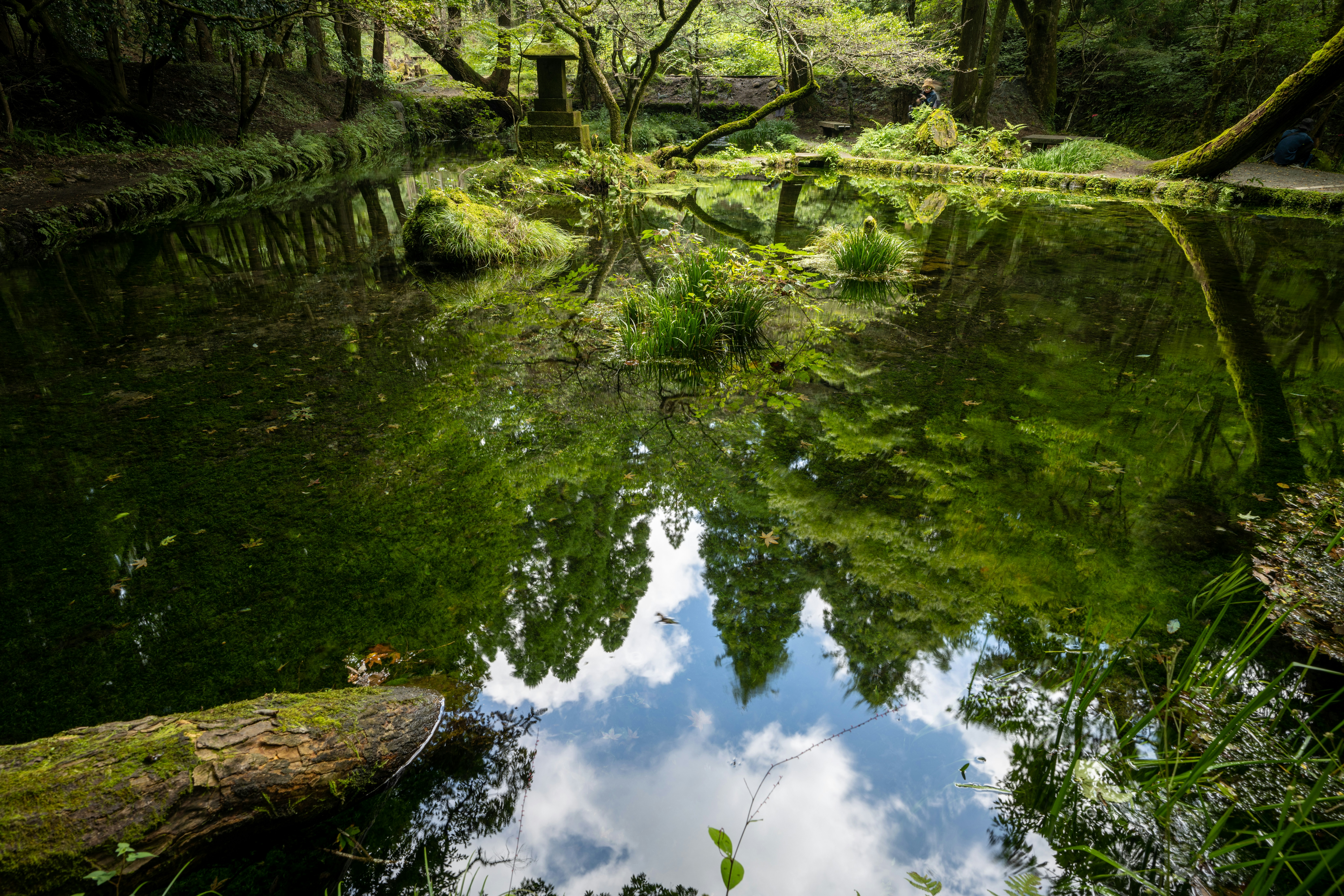 Water | 100+ best free photos on Unsplash