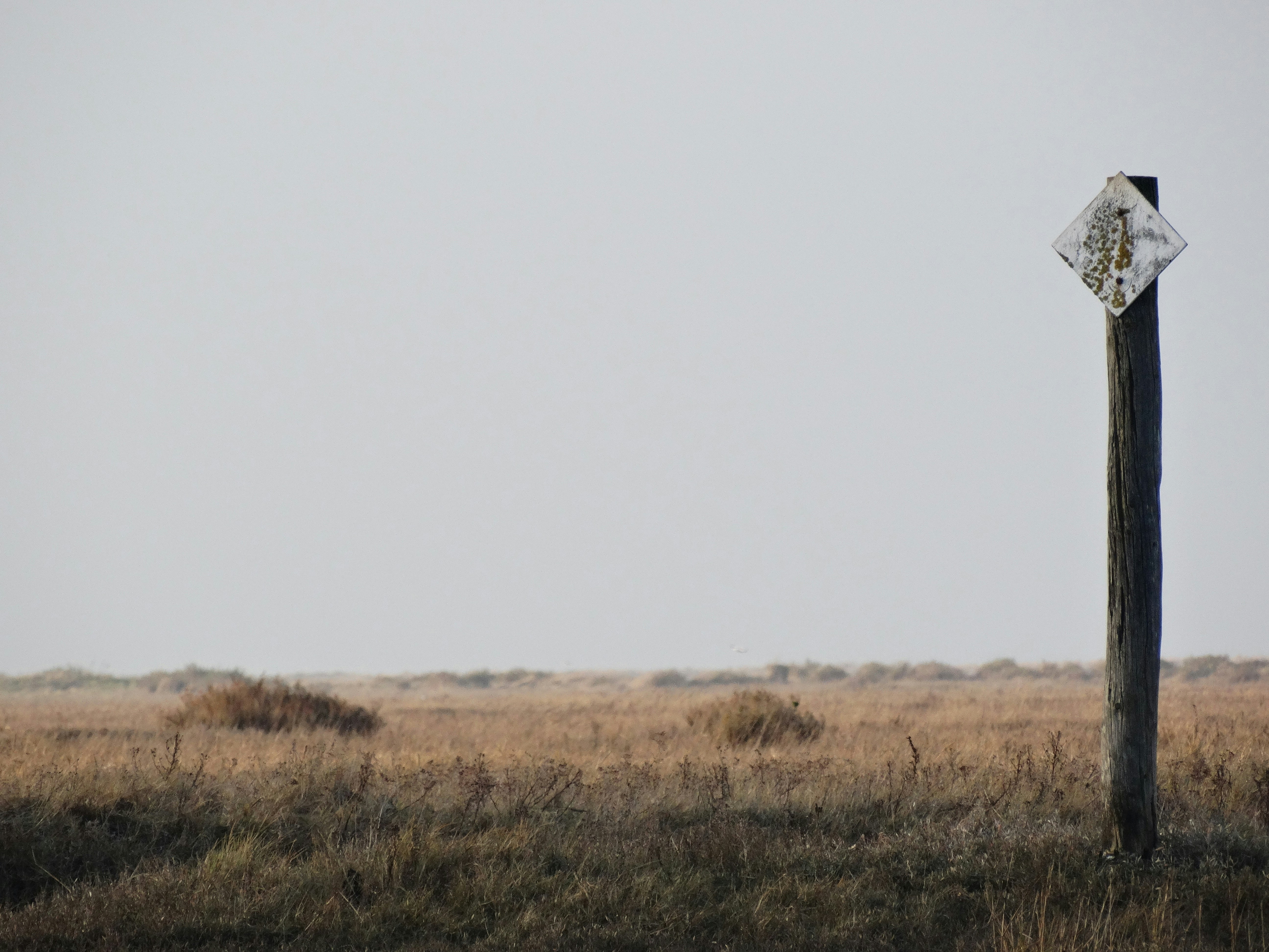Wooden post with a sign in a vast field of dry grass under an overcast sky.