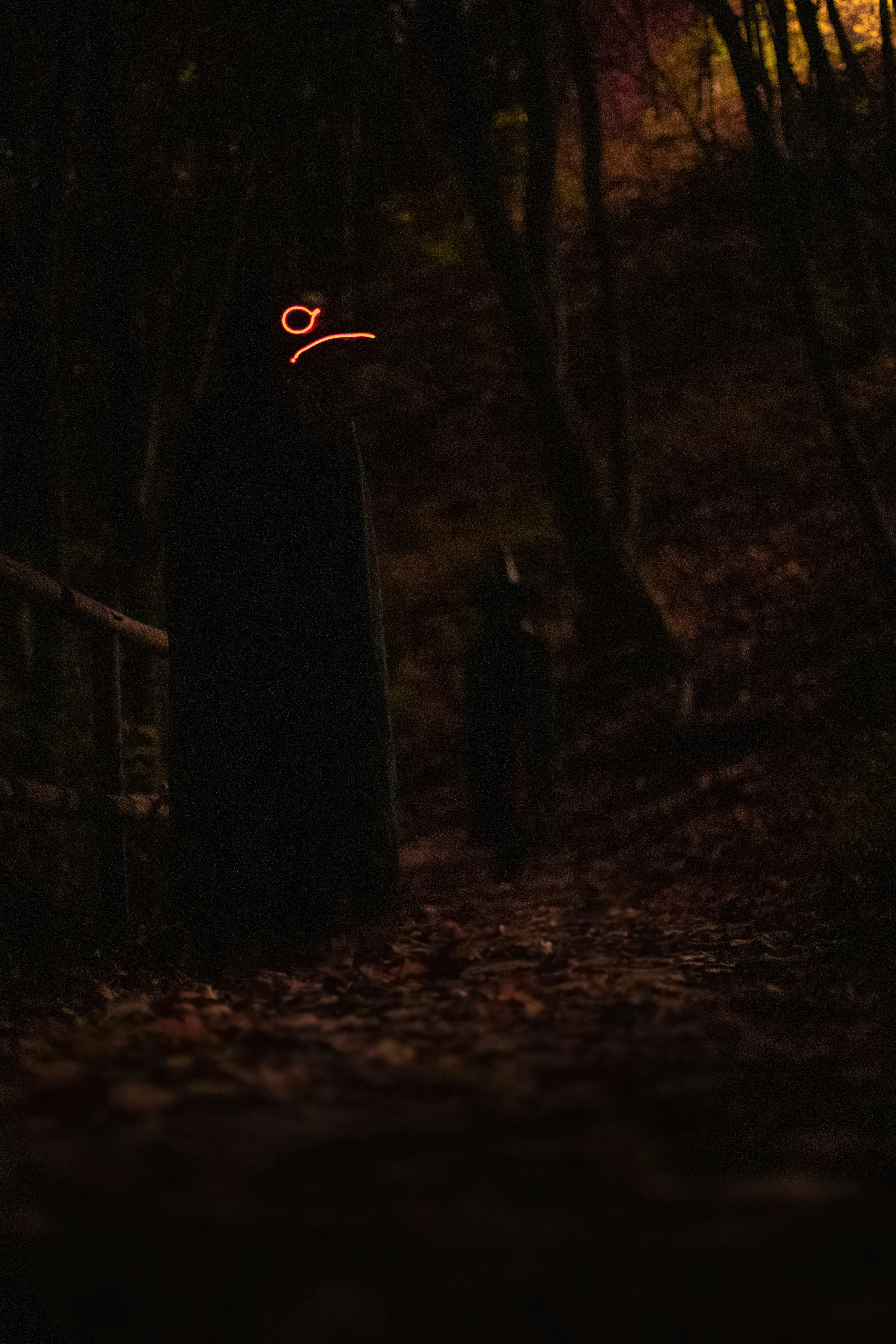 Two figures shrouded in darkness, one illuminated by an eerie glow, walk along a leaf-strewn path in a forest at night.