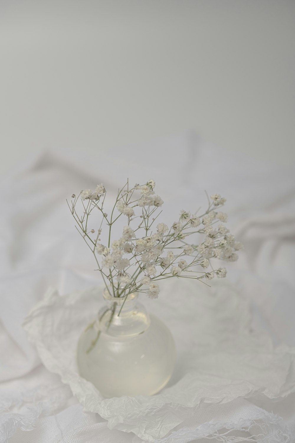 Fleurs blanches dans un vase en céramique blanche photo – Photo Nature ... Fleurs blanches dans un vase en céramique blanche photo – Photo Nature ...