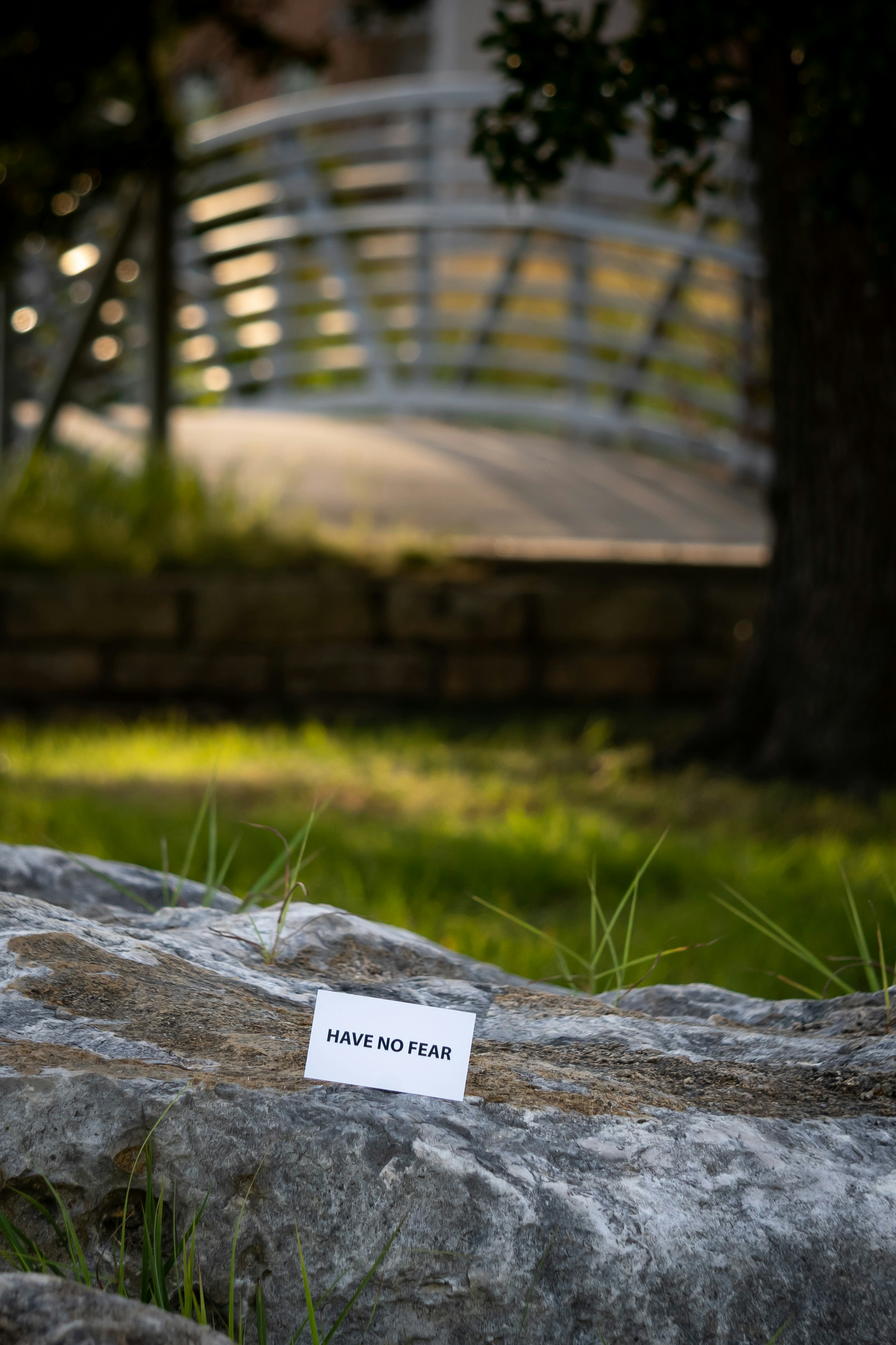 Have No Fear on a Weathered Rock: A Park's Quiet Message