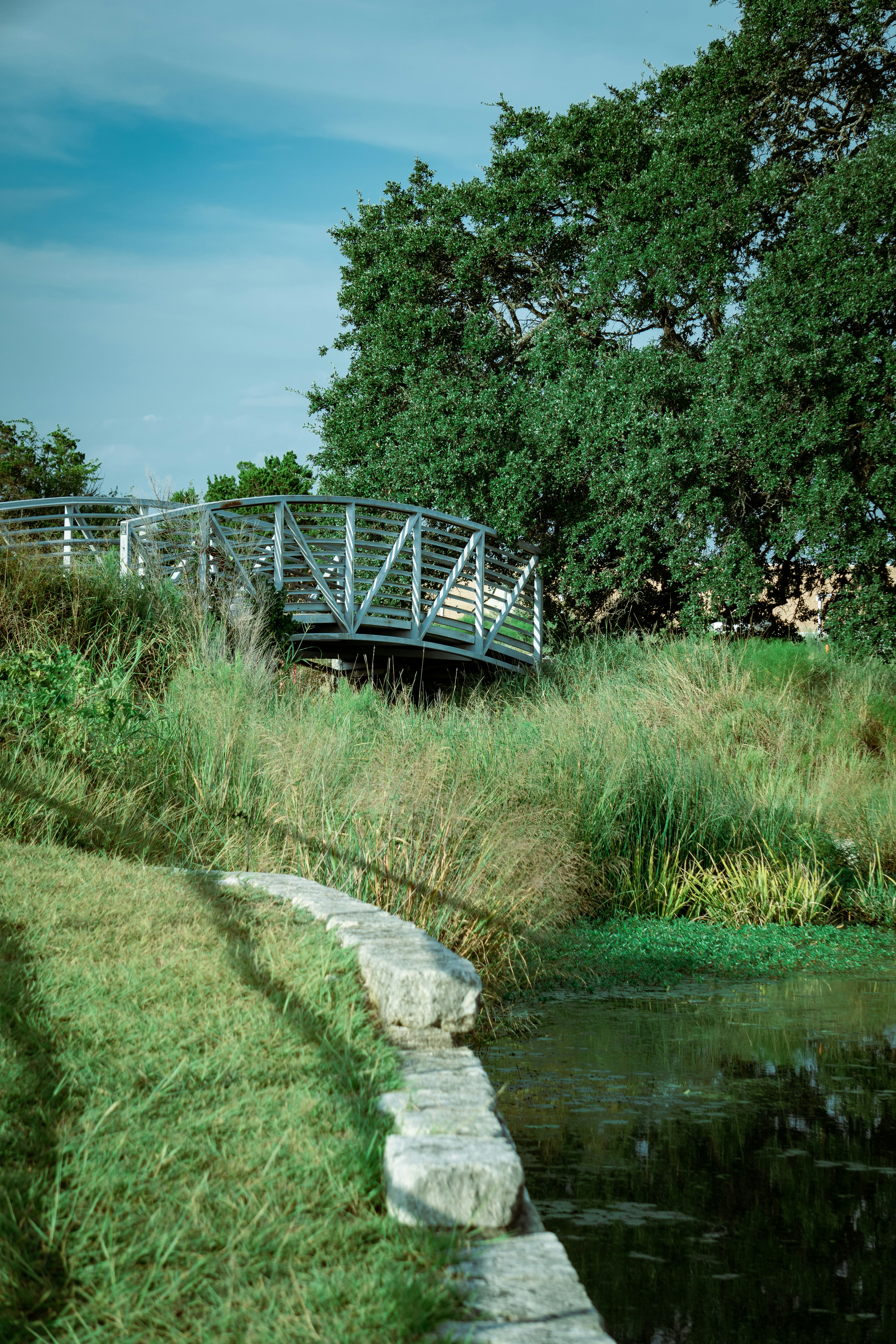 Sample photo from Sony Alpha 6100