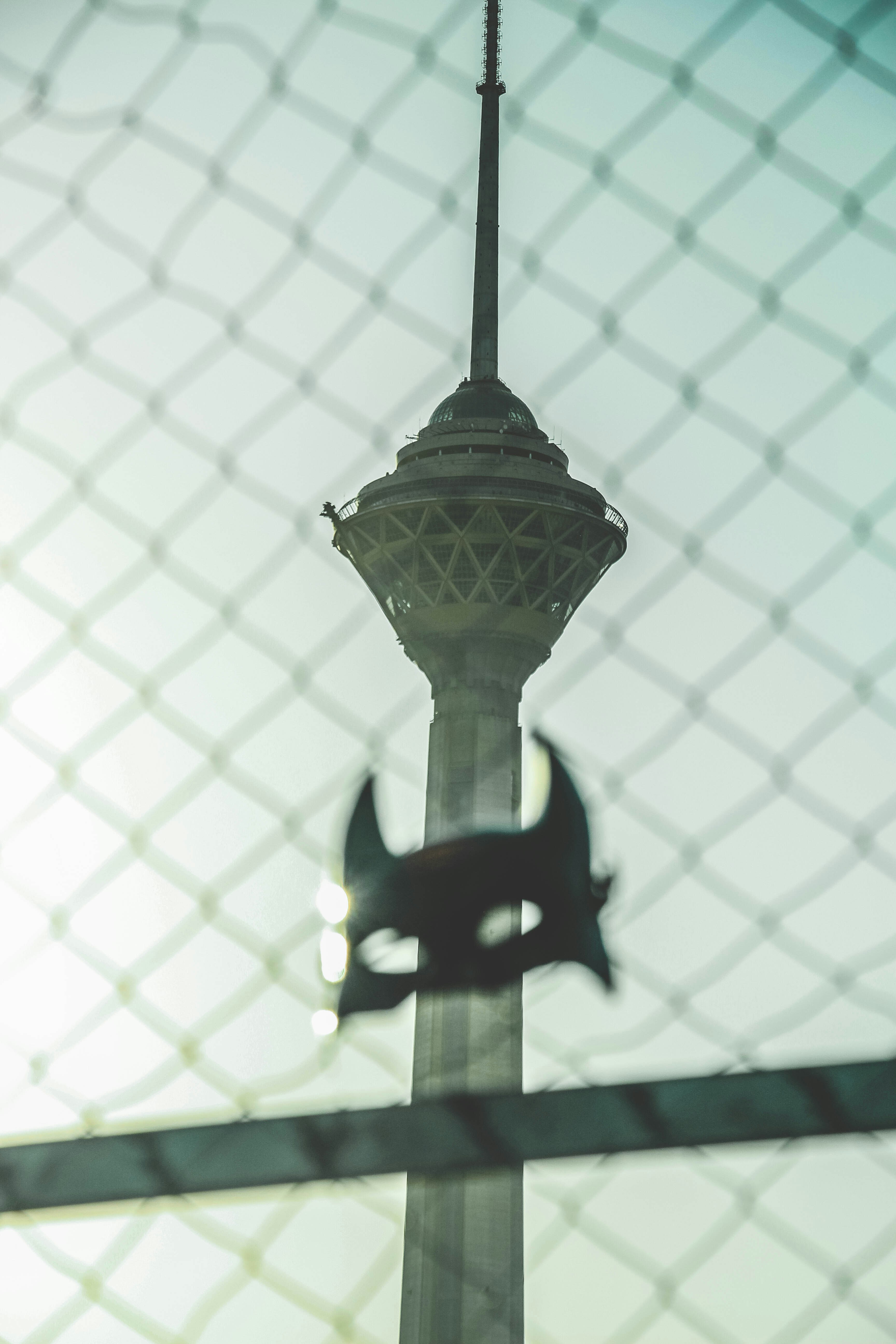 Fence-Framed Spire: Berlin's TV Tower Behind Diamond Mesh