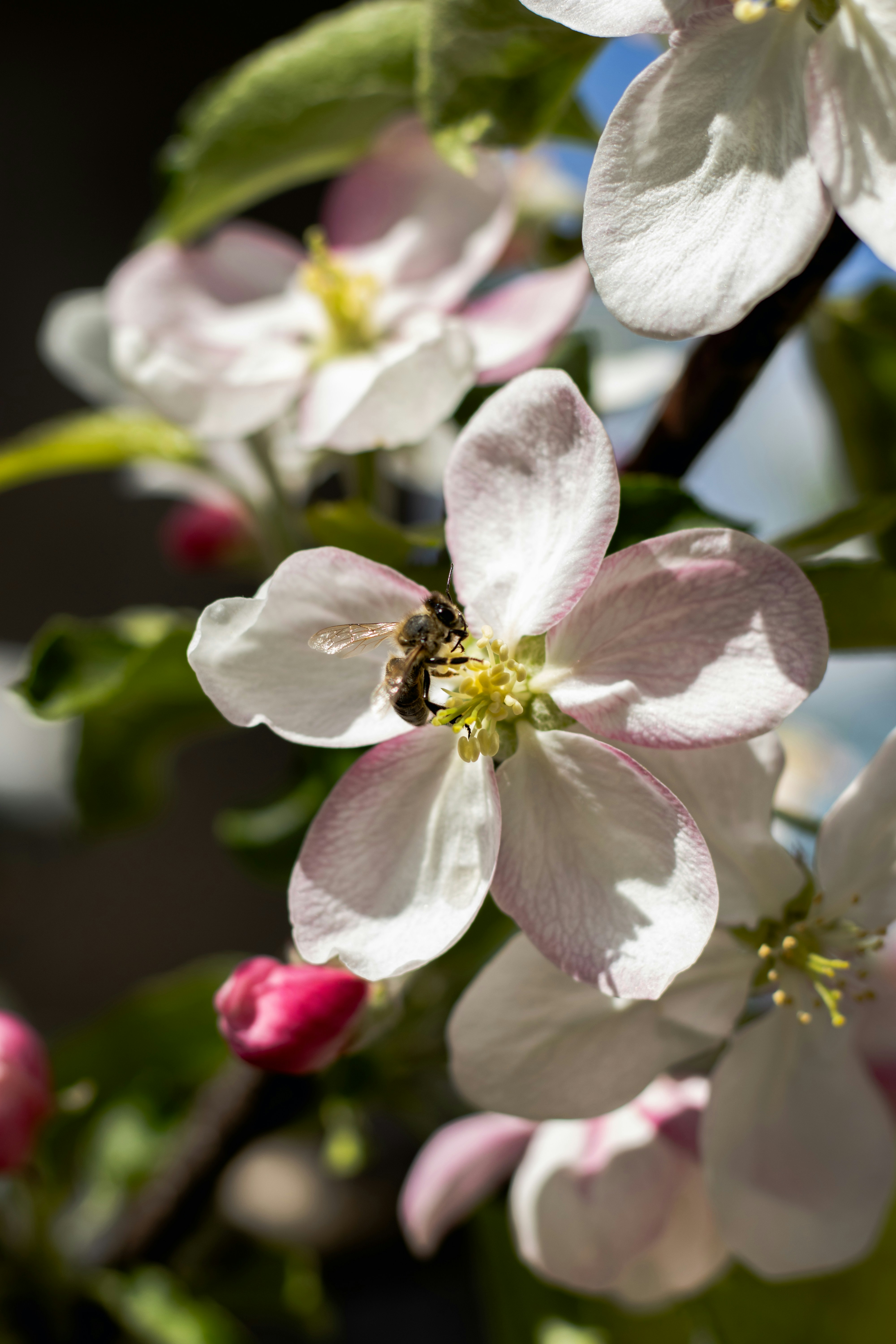 Plamena Popova (@plamena_popova) | Unsplash Photo Community