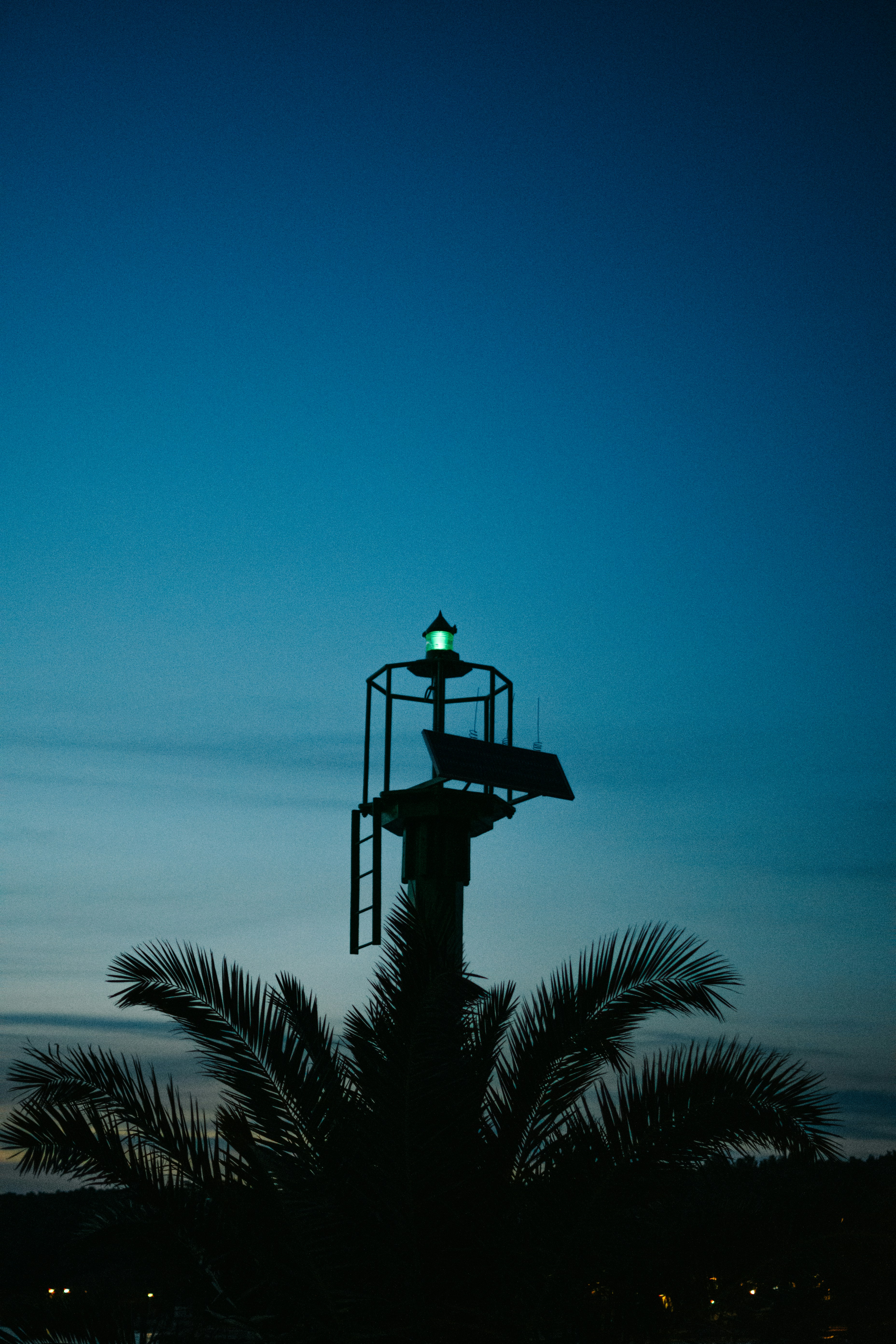 Blue-hour Beacon Rising Amid Palm Fronds