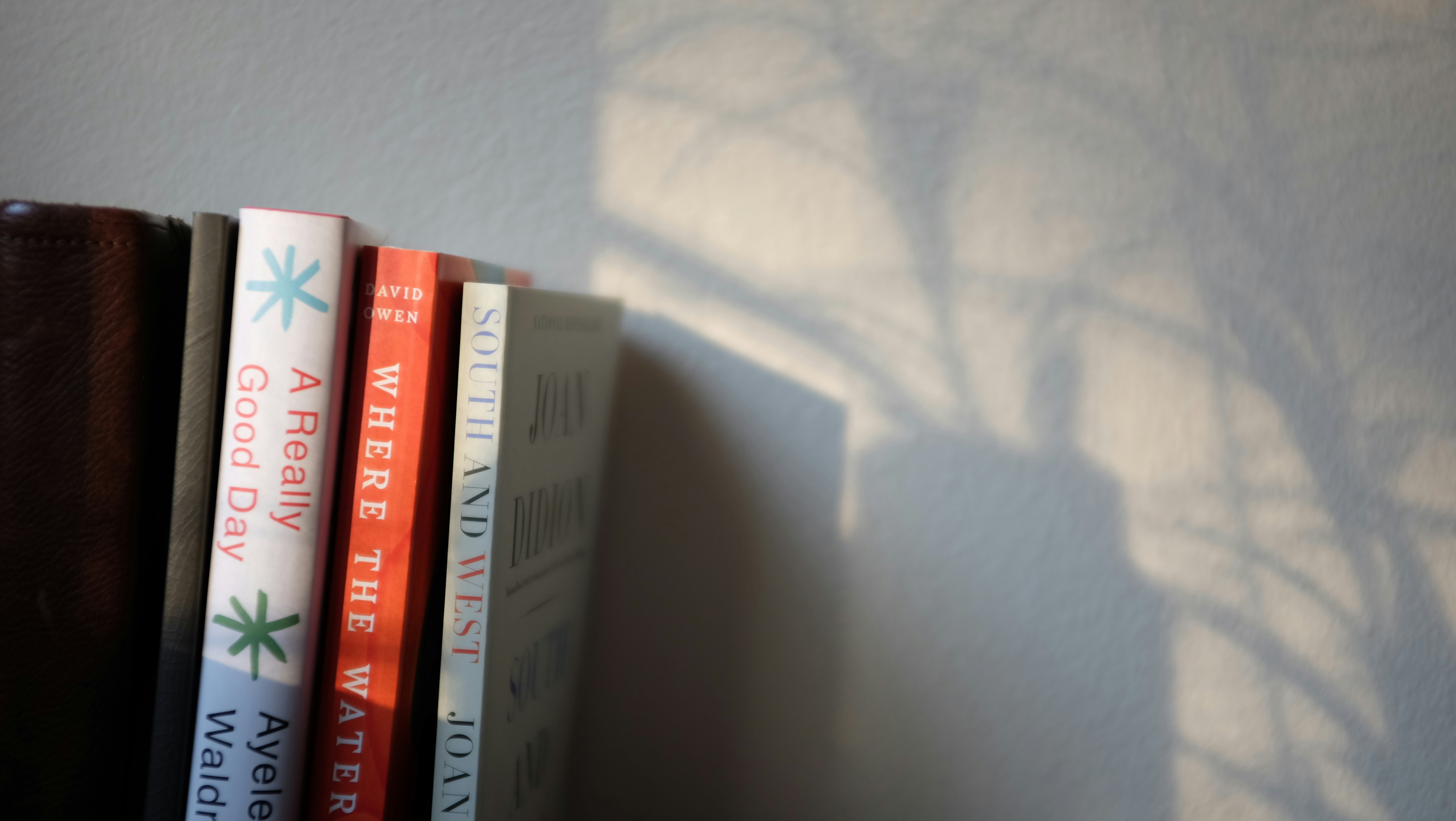 Books stacked on a shelf with a delicate shadow cast on the wall, creating a serene atmosphere. The interplay of light and shadow enhances the visual narrative.