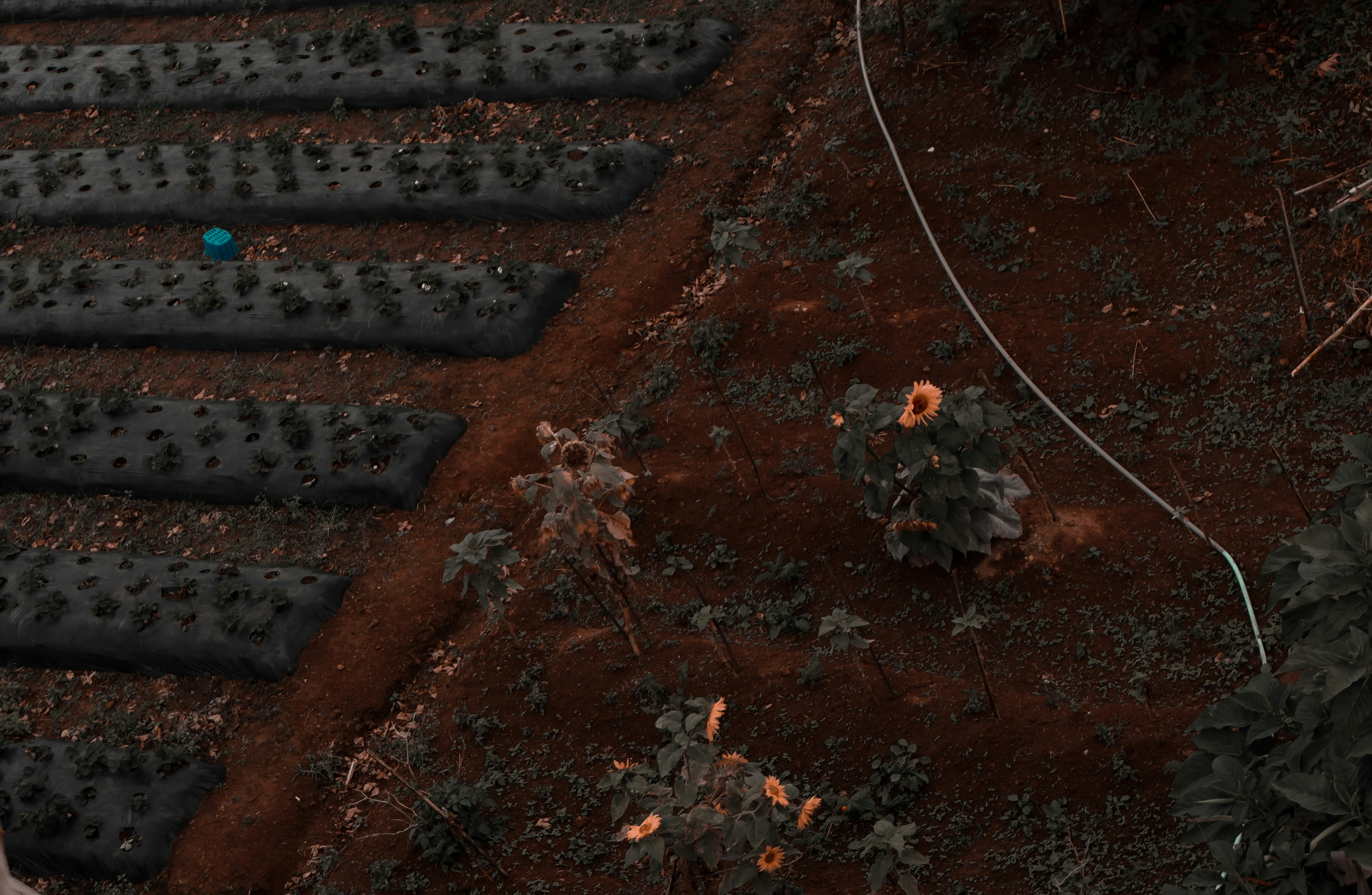 Ashabul Kahfi (@askappi) | Unsplash Photo Community