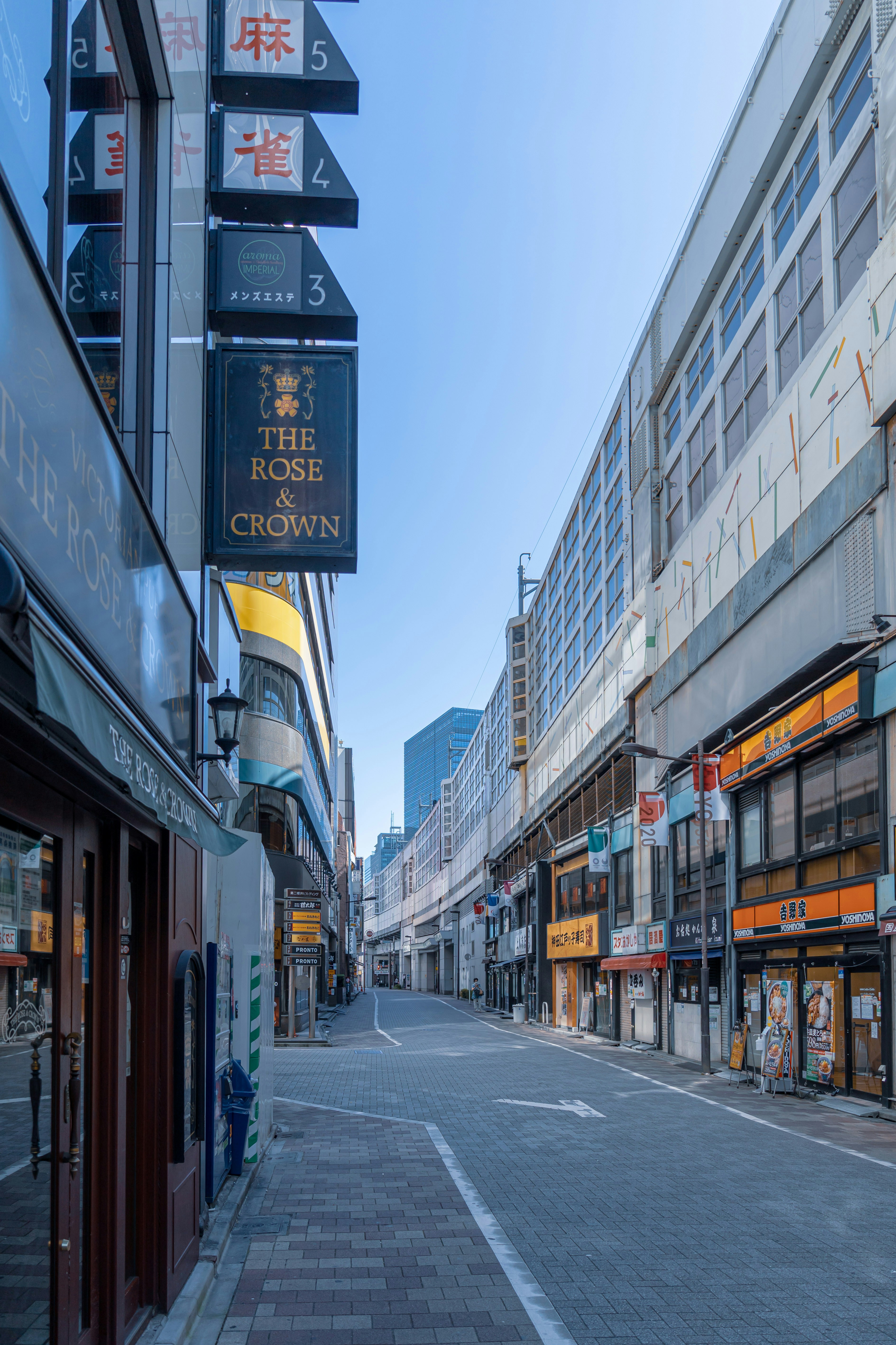 Urban Canyon: Neon Signs Face a Quiet Alley