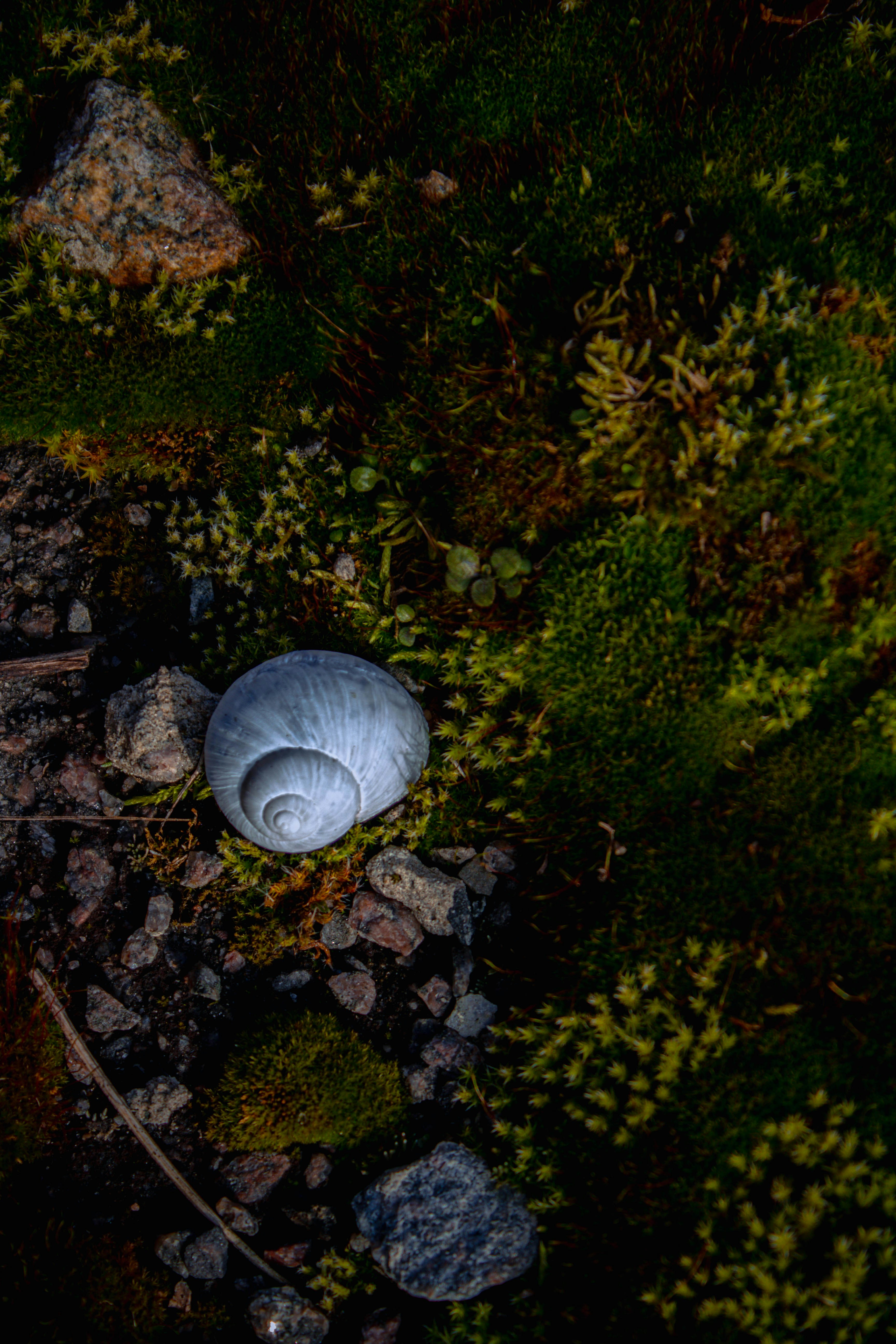 black and gray stone on ground