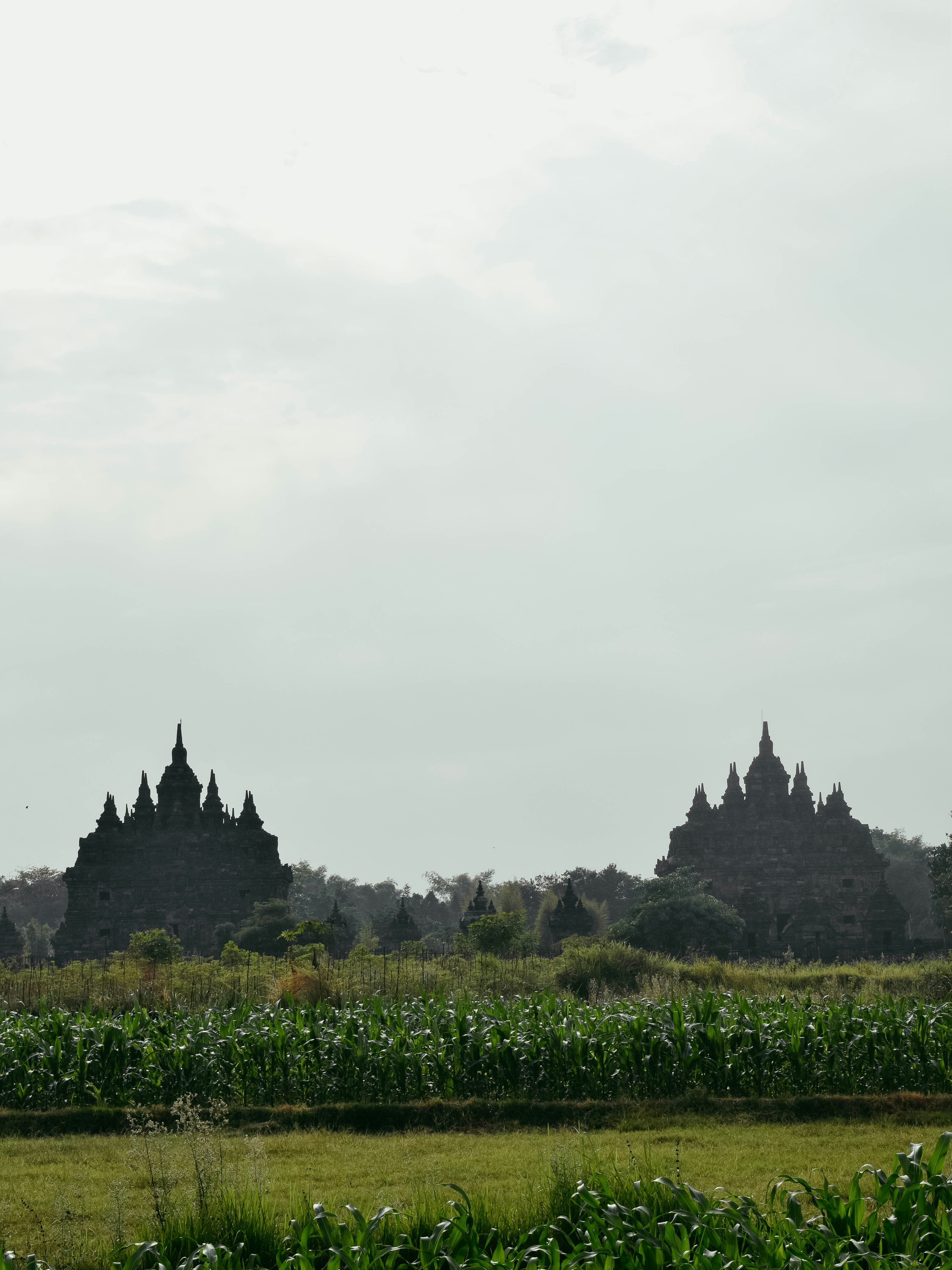 Twin Stone Spires on the Horizon Over a Lush Cornfield