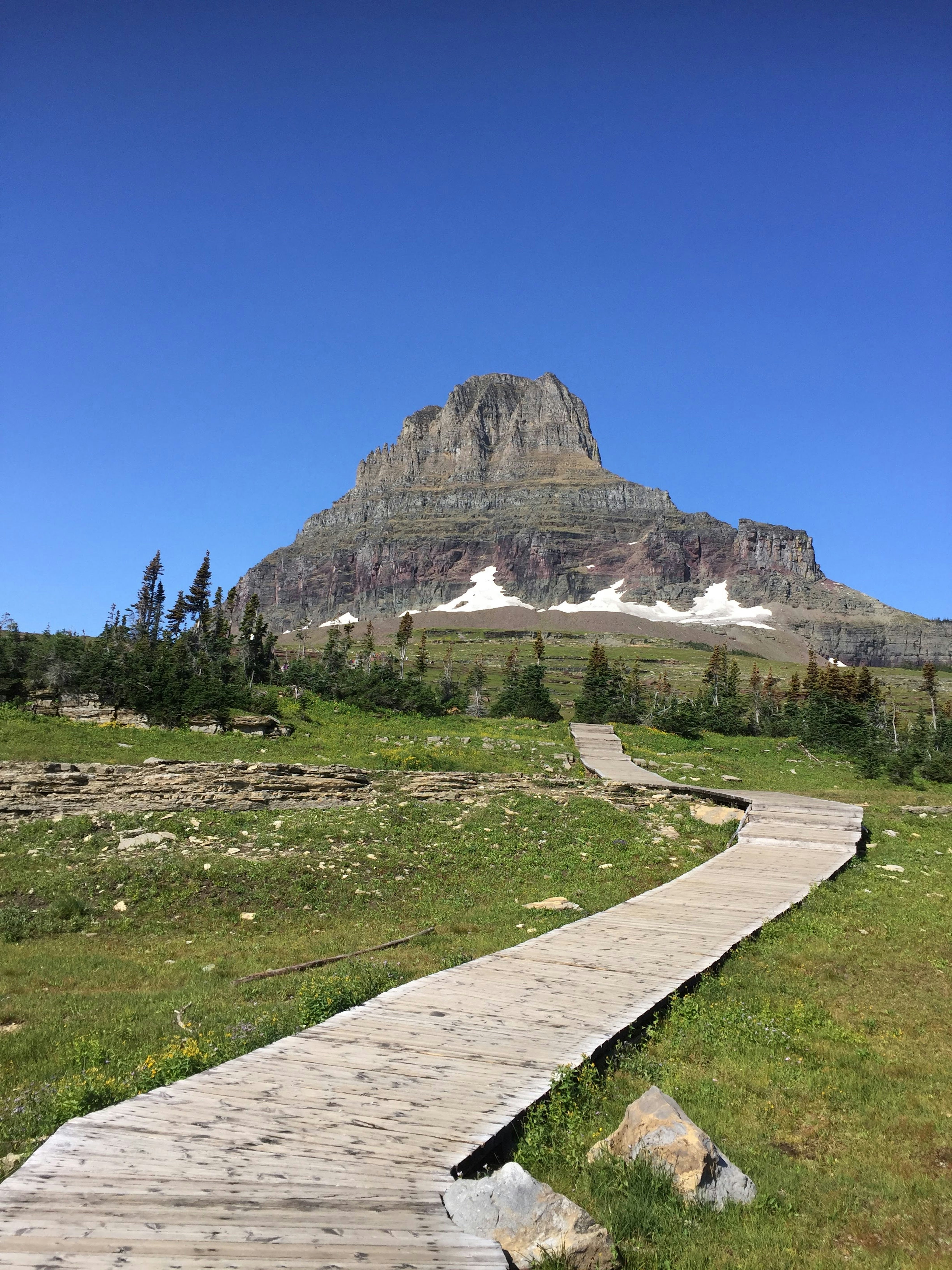 Wooden walkway leading through lush greenery towards a towering mountain under a clear blue sky.