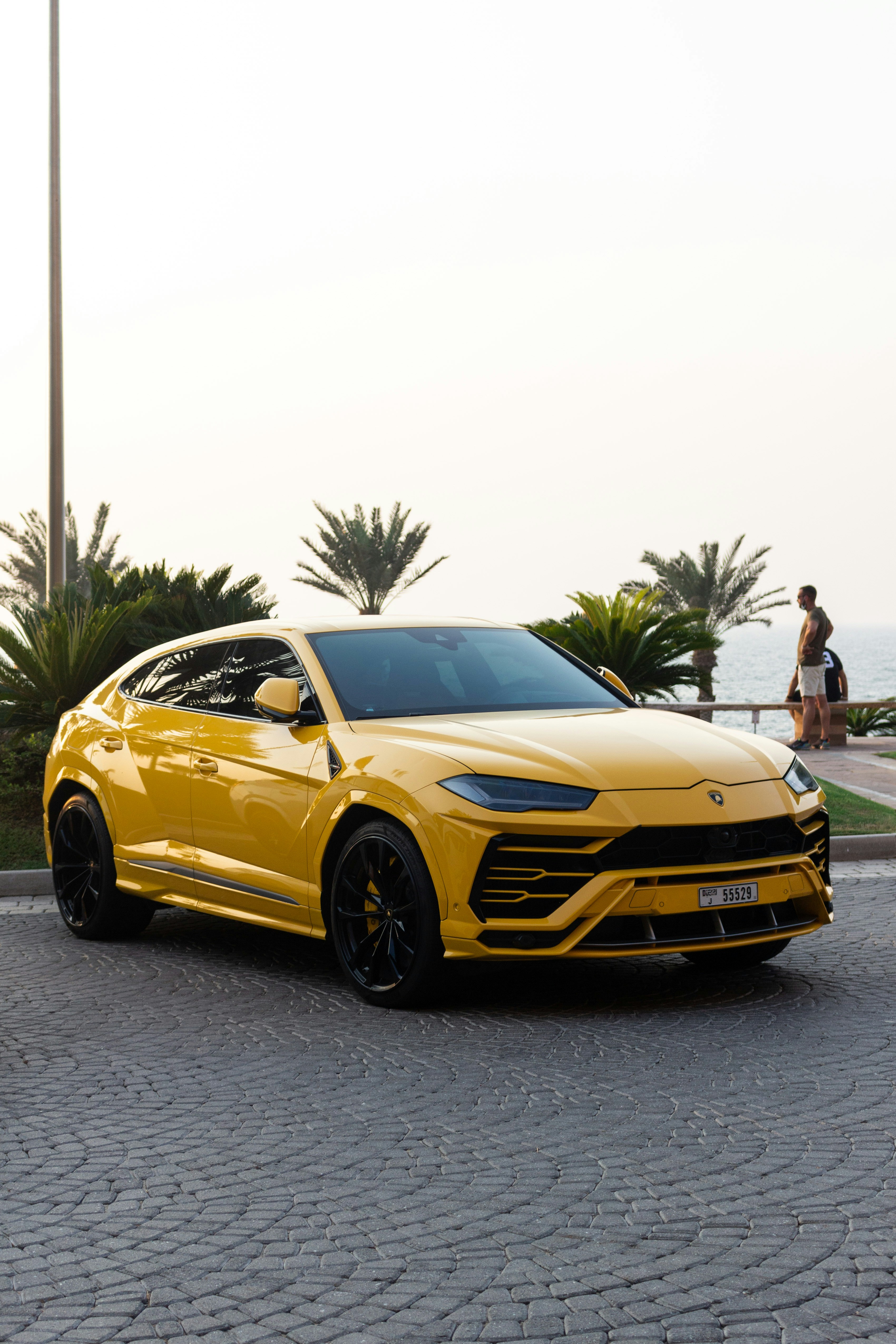 A sleek yellow Lamborghini Urus parked on a cobblestone path, surrounded by lush palm trees and a serene waterfront backdrop.