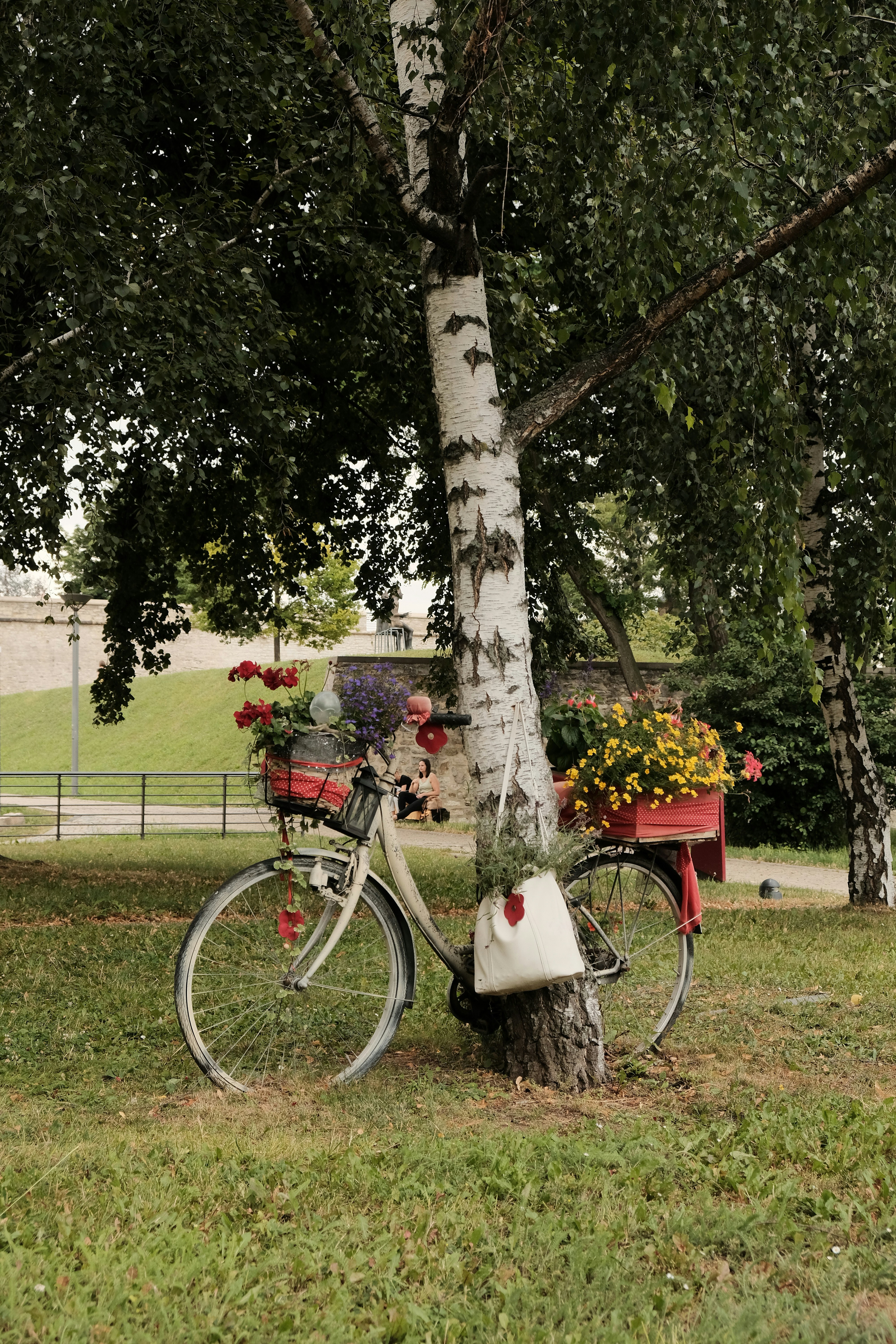 Floral Bicycle Resting by a Birch in a Quiet Park