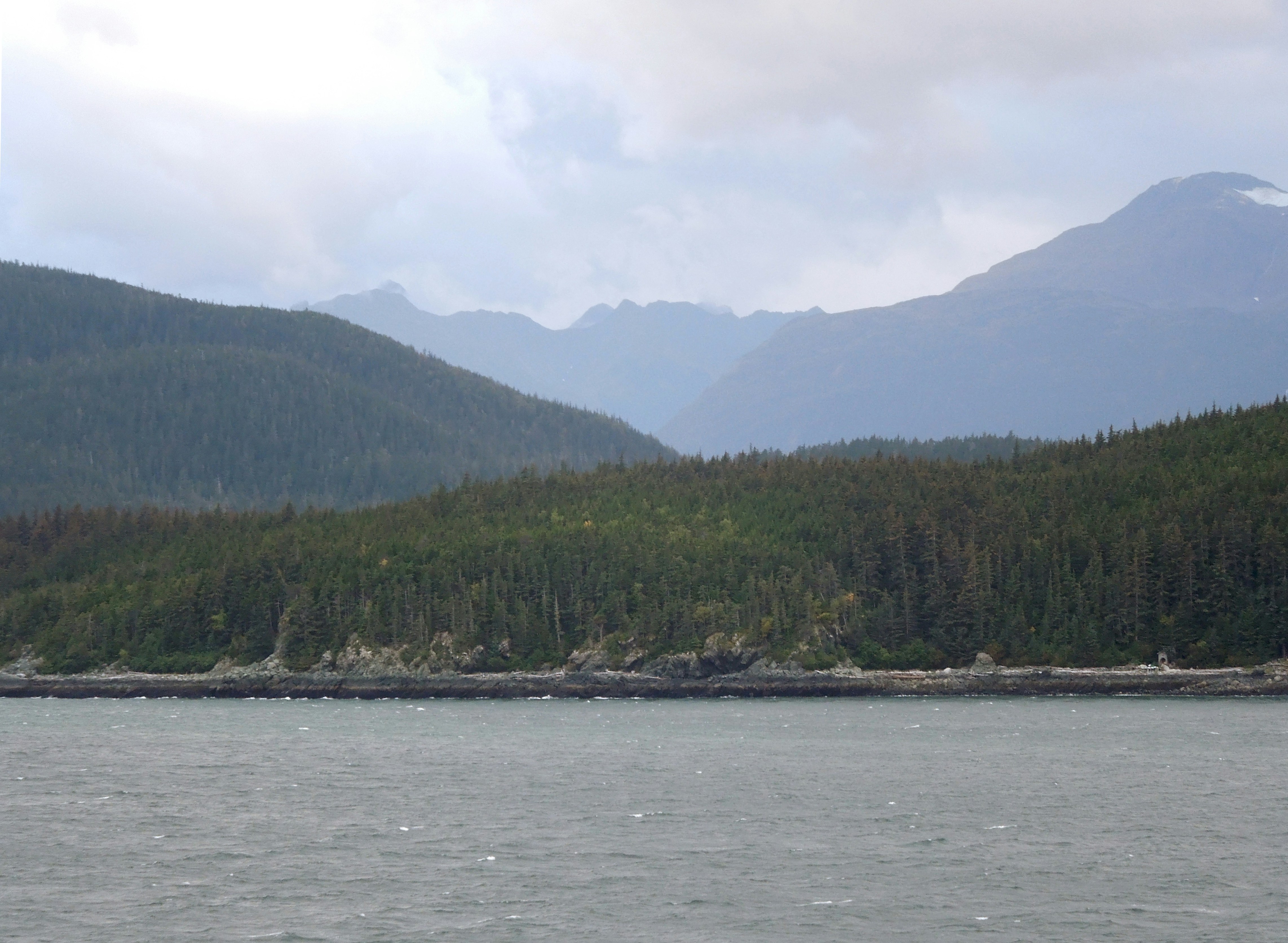 Lush green forests meet the tranquil waters along the Alaskan coastline, framed by distant mountains under a cloudy sky.