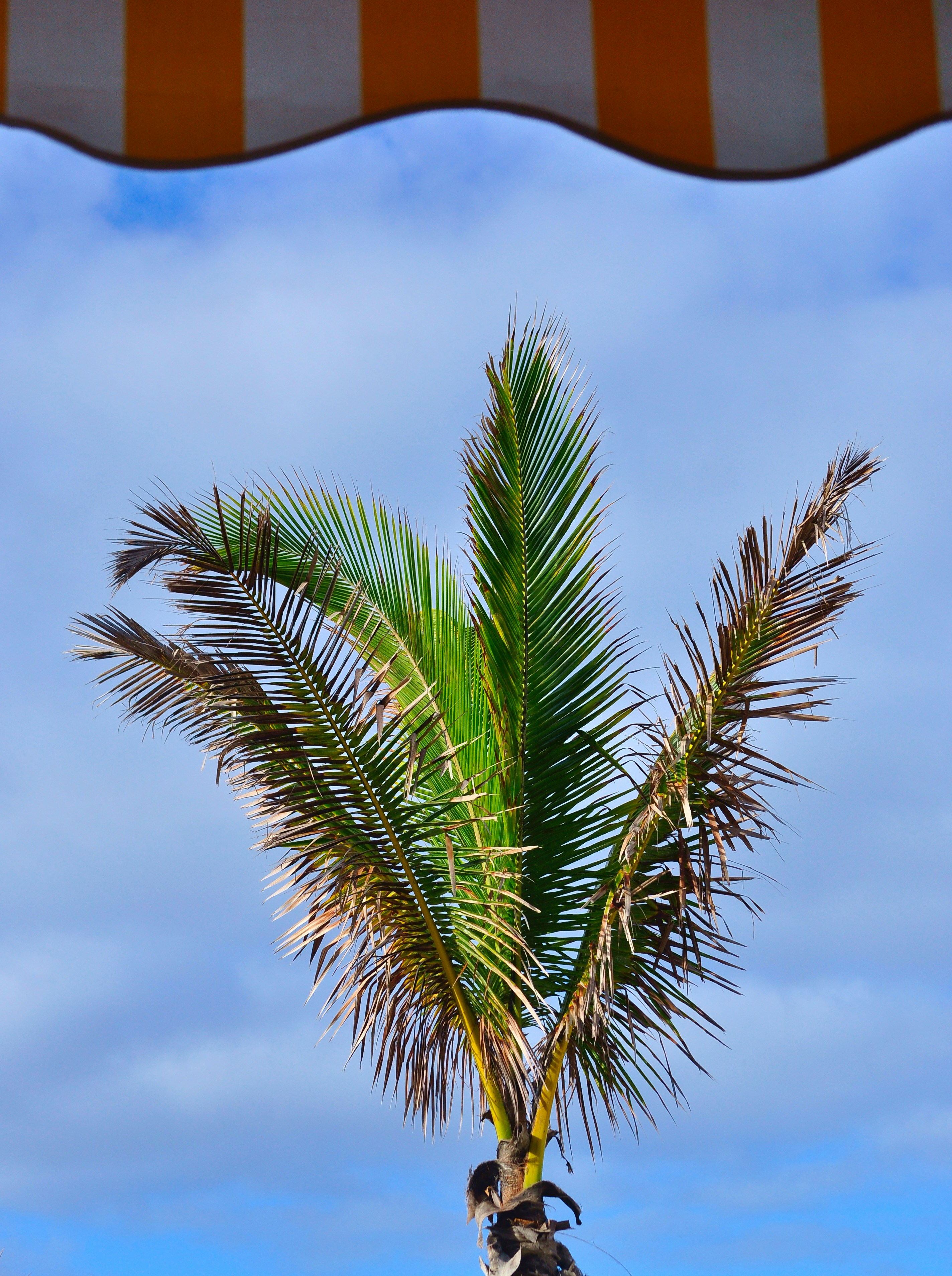 Best Sunscreens for Summer Skin Protection - Skinguruhq