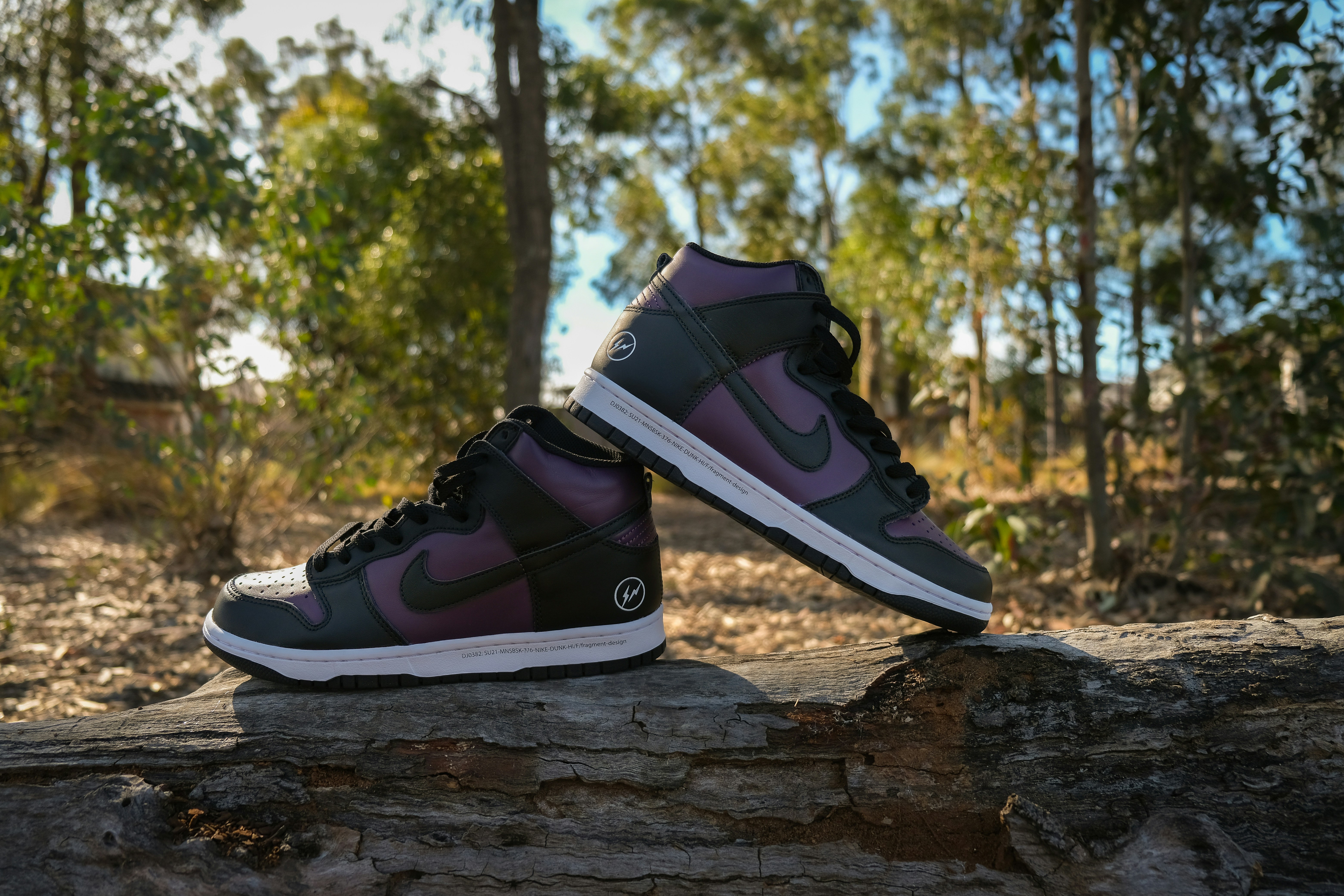 Purple-Trim High-Tops Rest on a Weathered Log in Dappled Forest Light