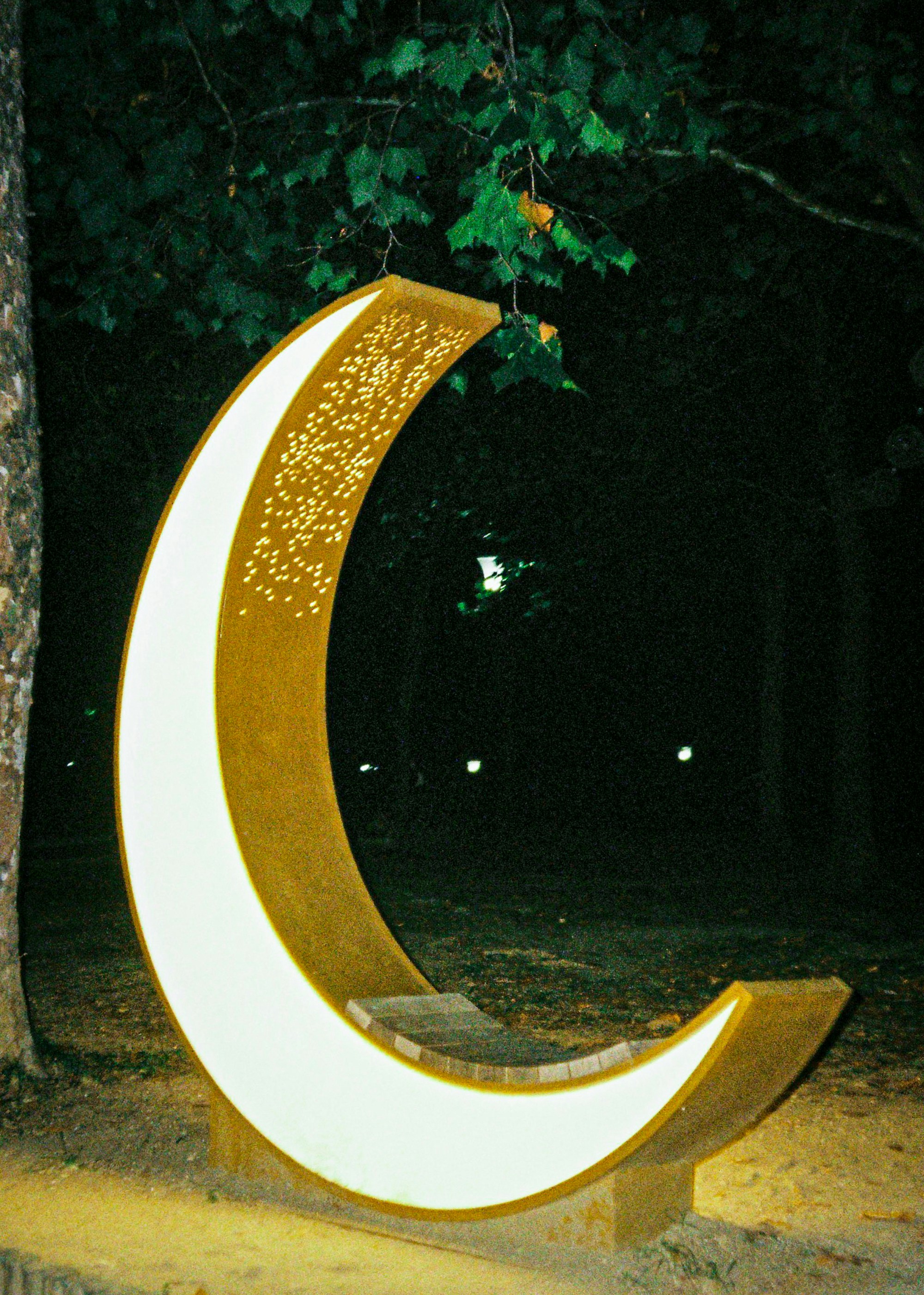 Illuminated crescent-shaped bench nestled among trees, creating a serene nighttime atmosphere.