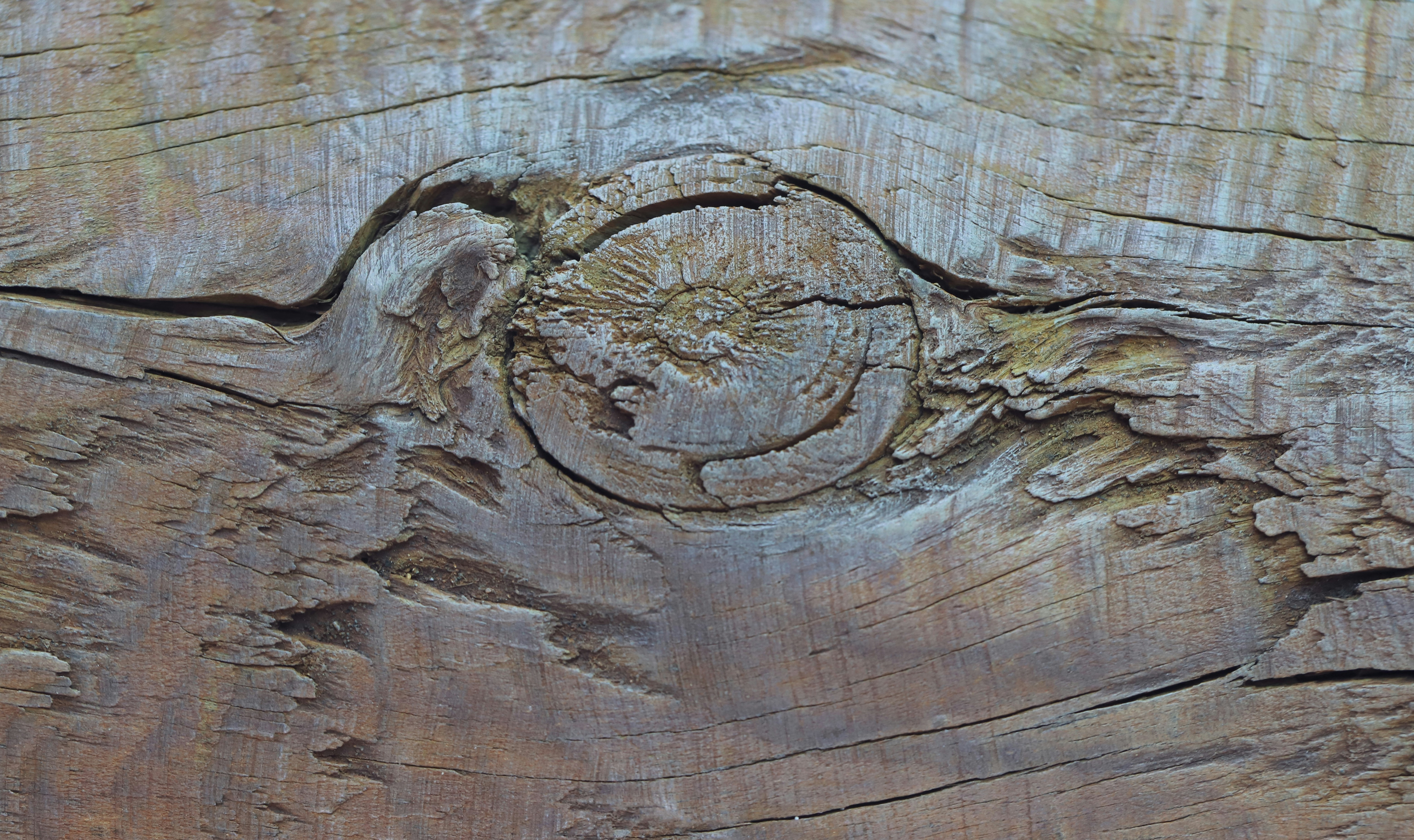 Close-up of a weathered wooden surface showcasing a distinctive knot pattern and rich textures. The image highlights the natural aging process of the wood.
